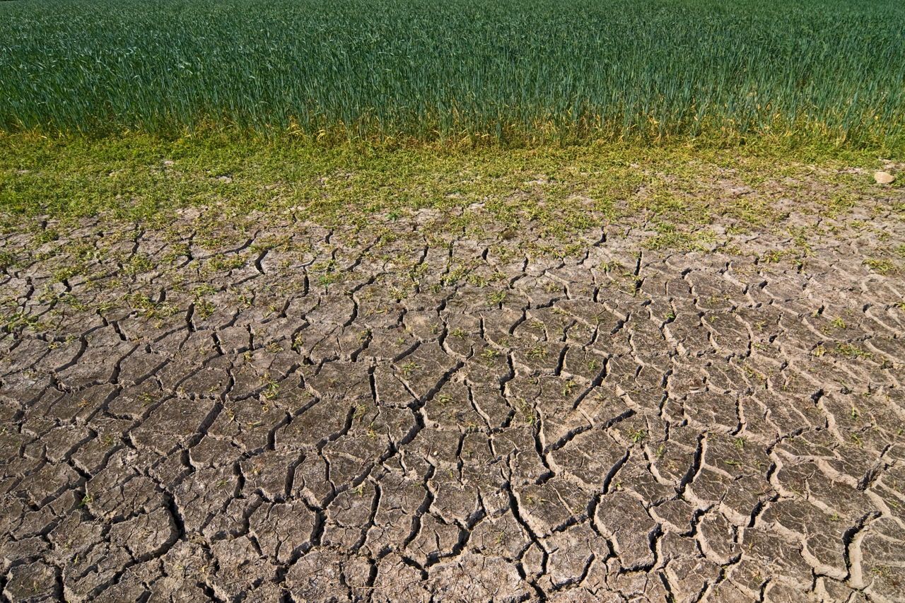 Soil Pollution Wallpapers - Top Free Soil Pollution Backgrounds ...