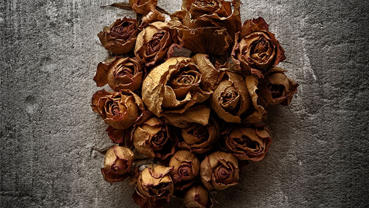Composite Wallpapers - Top Free Composite Backgrounds - WallpaperAccess