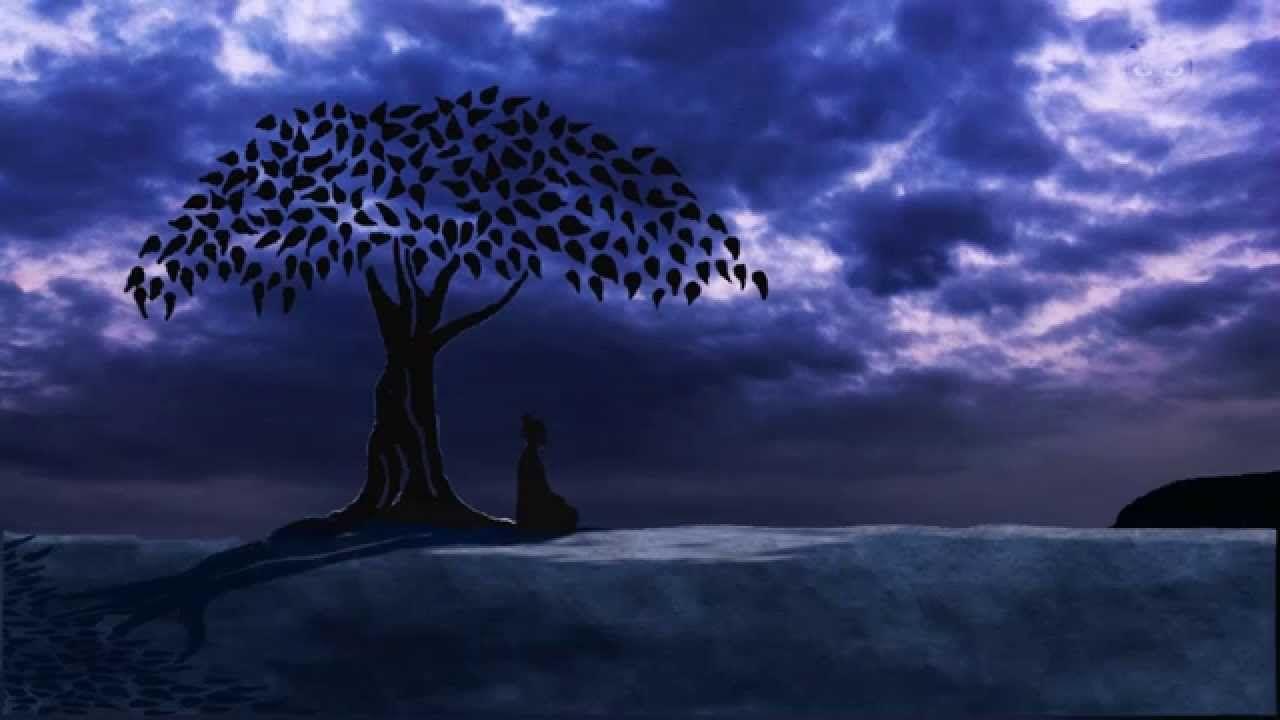 Bodhi Tree Wallpapers - Top Free Bodhi Tree Backgrounds - WallpaperAccess