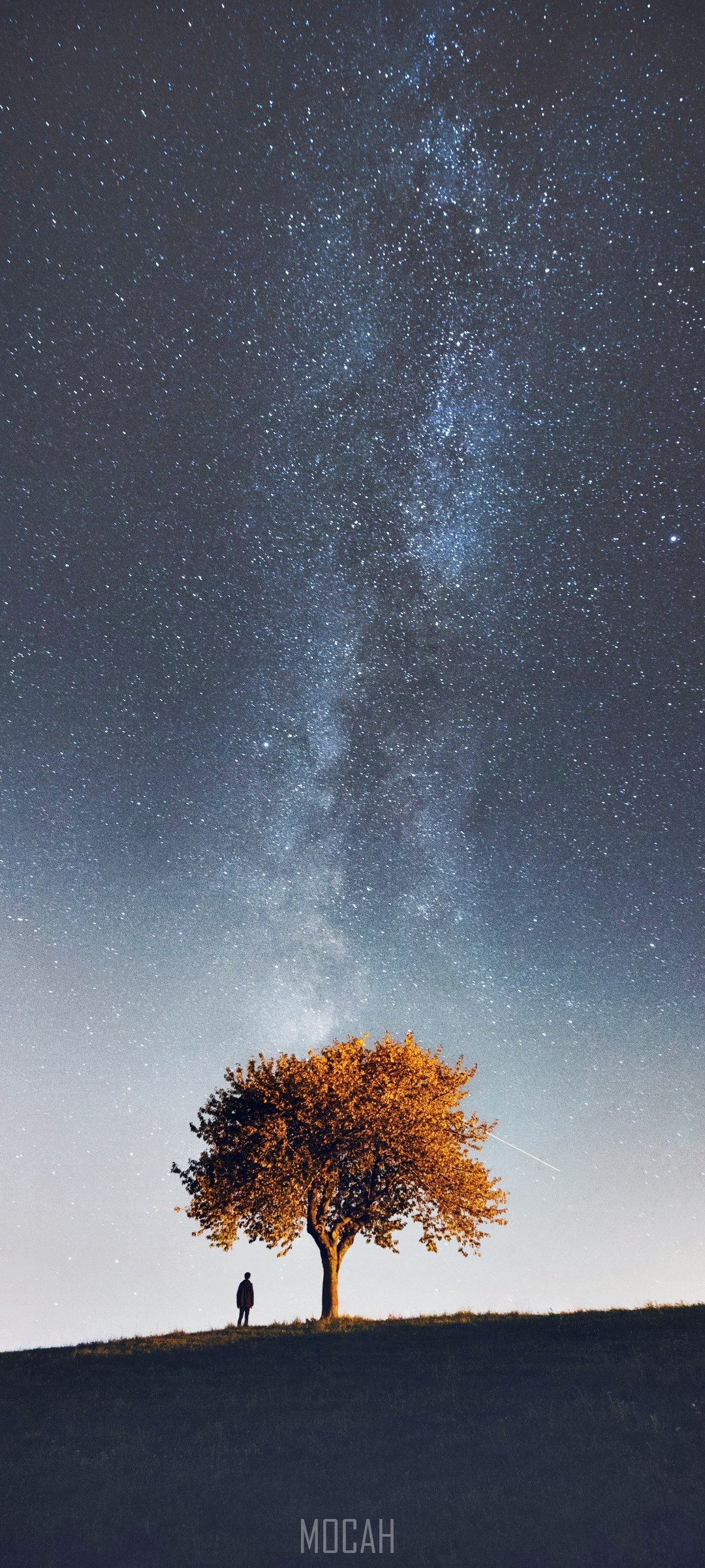 Real World Wallpapers - Top Free Real World Backgrounds - WallpaperAccess