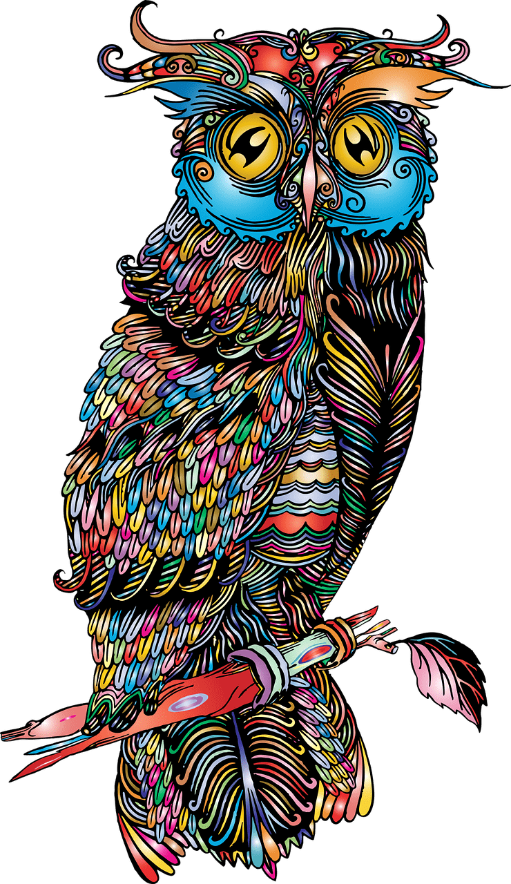 Owl Drawing Wallpapers - Top Free Owl Drawing Backgrounds - WallpaperAccess