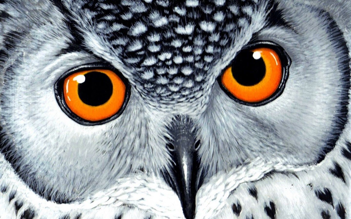 Owl Drawing Wallpapers - Top Free Owl Drawing Backgrounds - WallpaperAccess