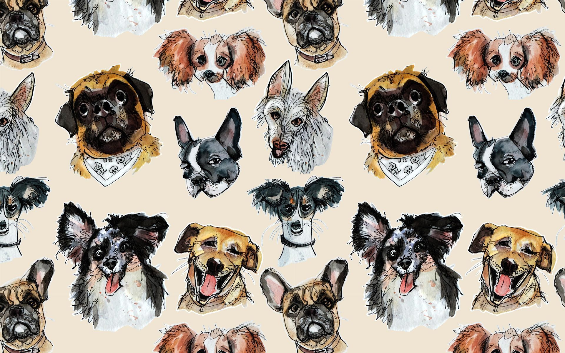 Dog Breeds Wallpapers - Top Free Dog Breeds Backgrounds - WallpaperAccess