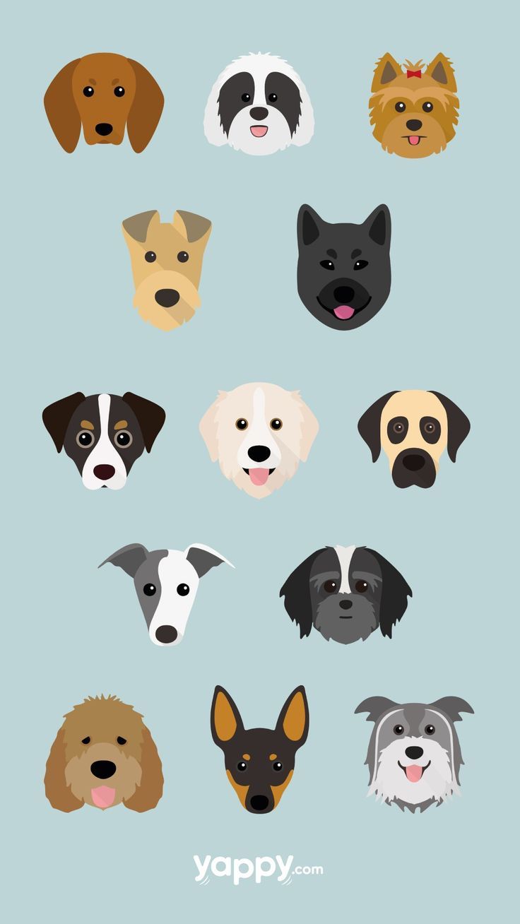 Dog Breeds Wallpapers - Top Free Dog Breeds Backgrounds - WallpaperAccess
