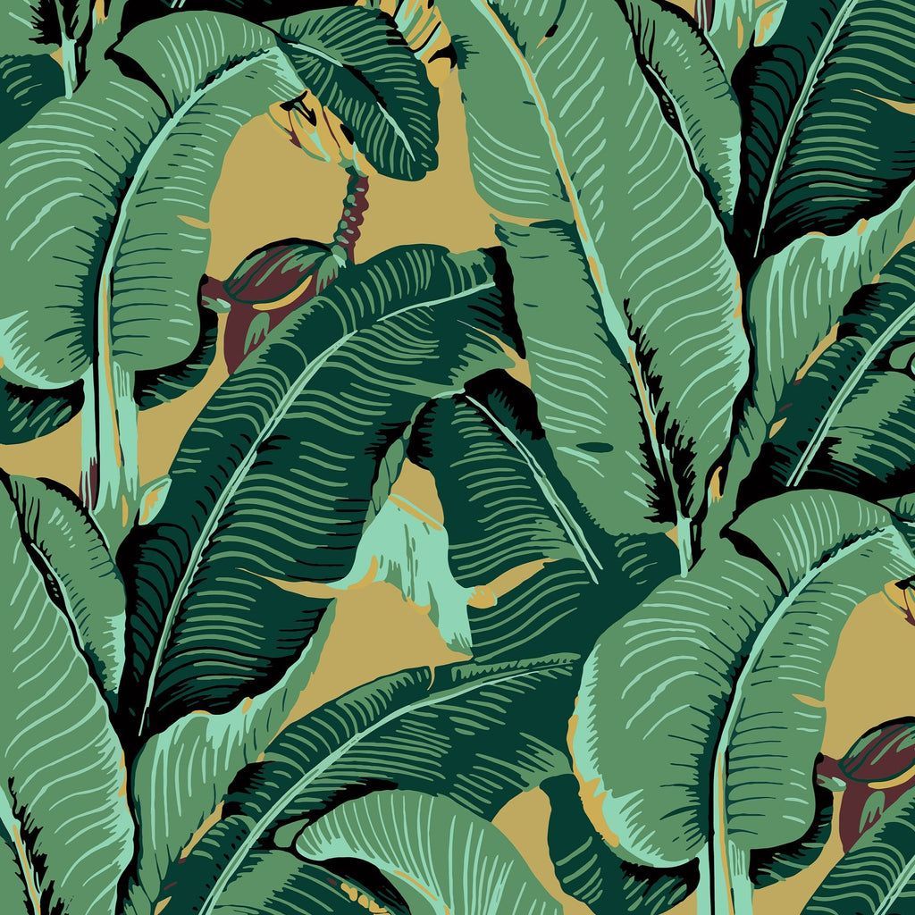 Martinique Wallpapers - Top Free Martinique Backgrounds - WallpaperAccess