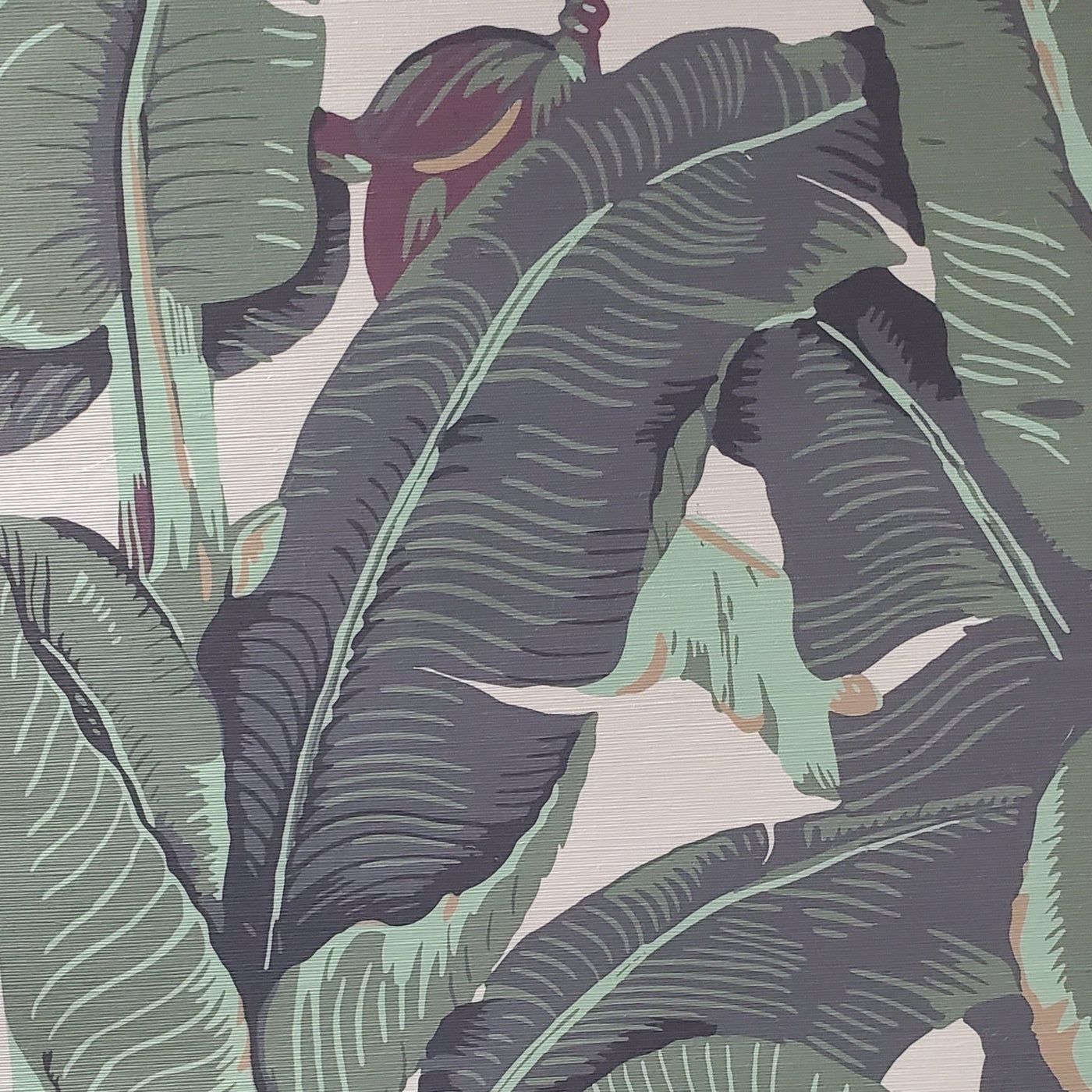 Martinique Wallpapers - Top Free Martinique Backgrounds - WallpaperAccess