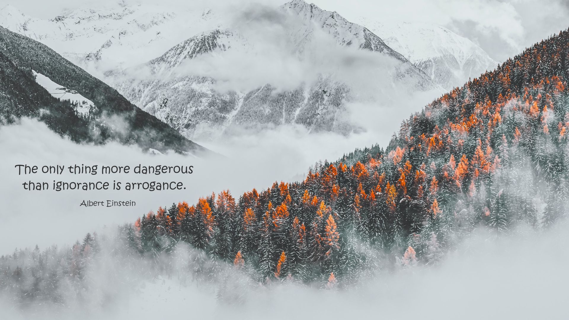 Arrogant Wallpapers - Top Free Arrogant Backgrounds - WallpaperAccess