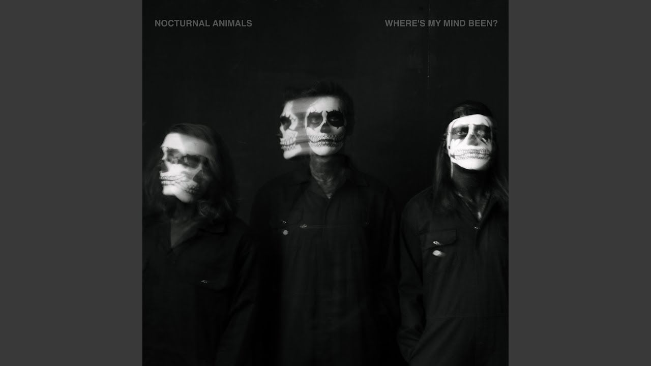 Nocturnal Animals Wallpapers - Top Free Nocturnal Animals Backgrounds ...