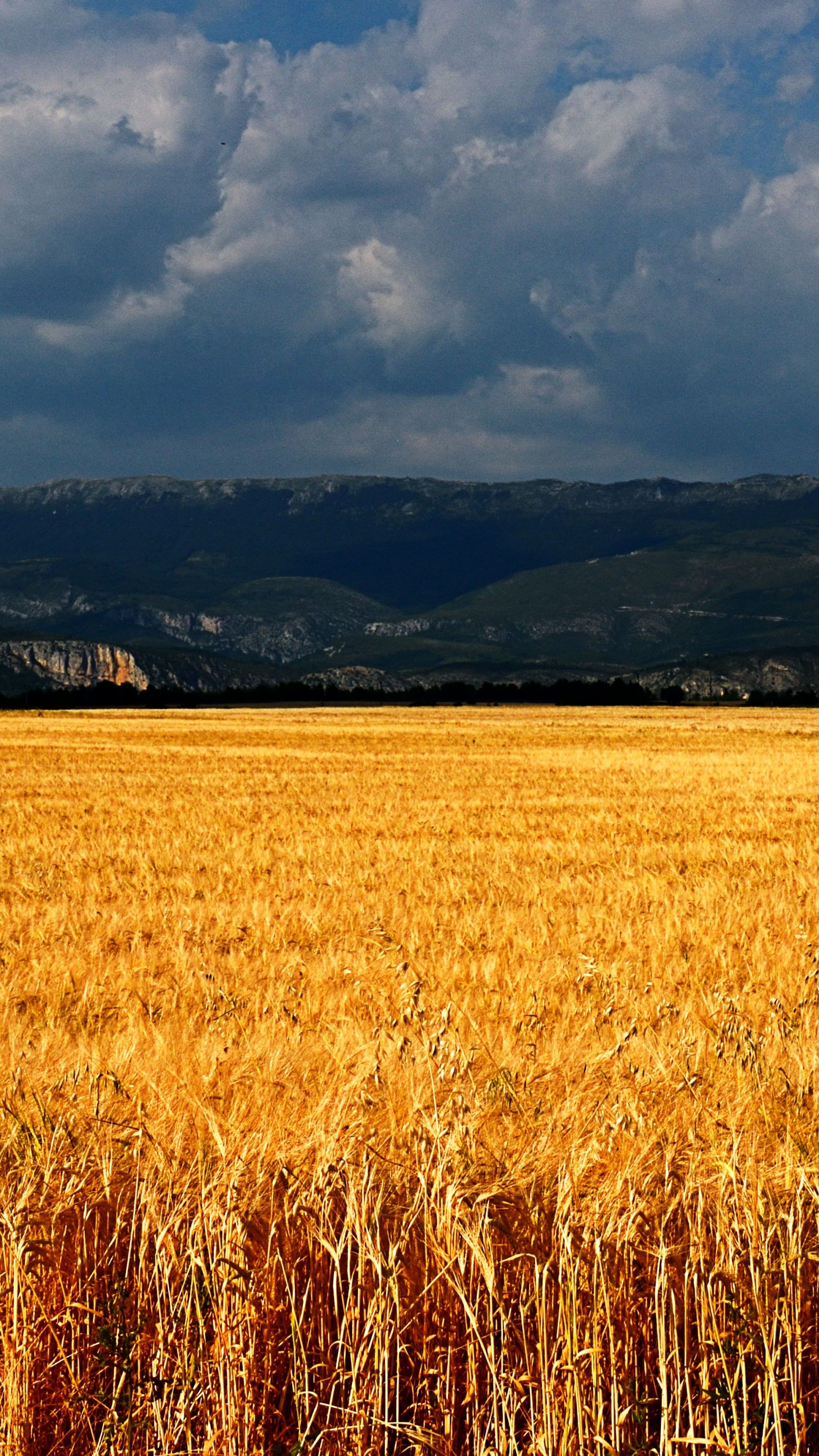 Plateau Wallpapers - Top Free Plateau Backgrounds - WallpaperAccess