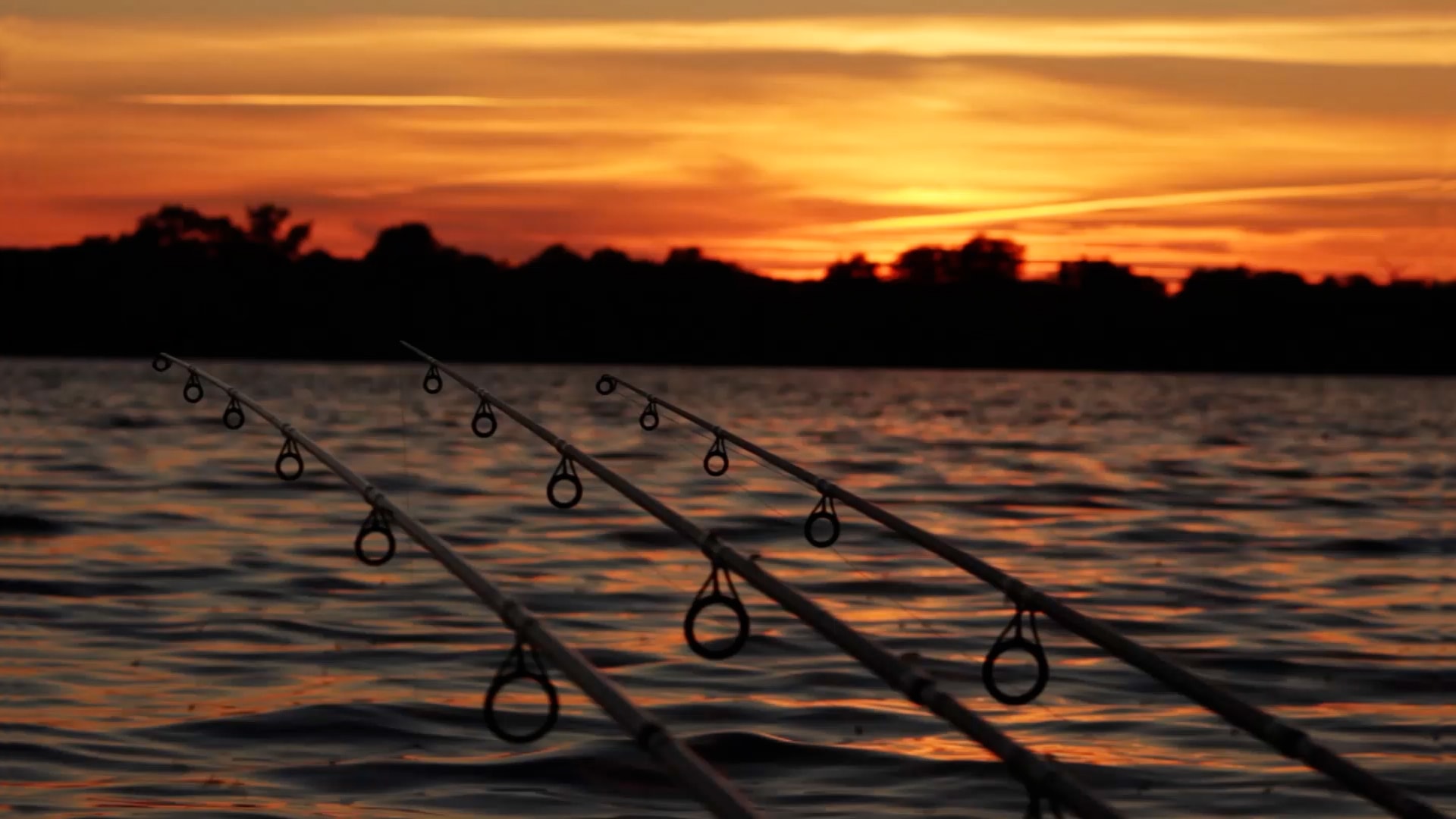 Carpfishing Wallpapers - Top Free Carpfishing Backgrounds - WallpaperAccess