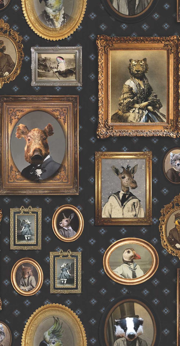 Posh Wallpapers - Top Free Posh Backgrounds - WallpaperAccess