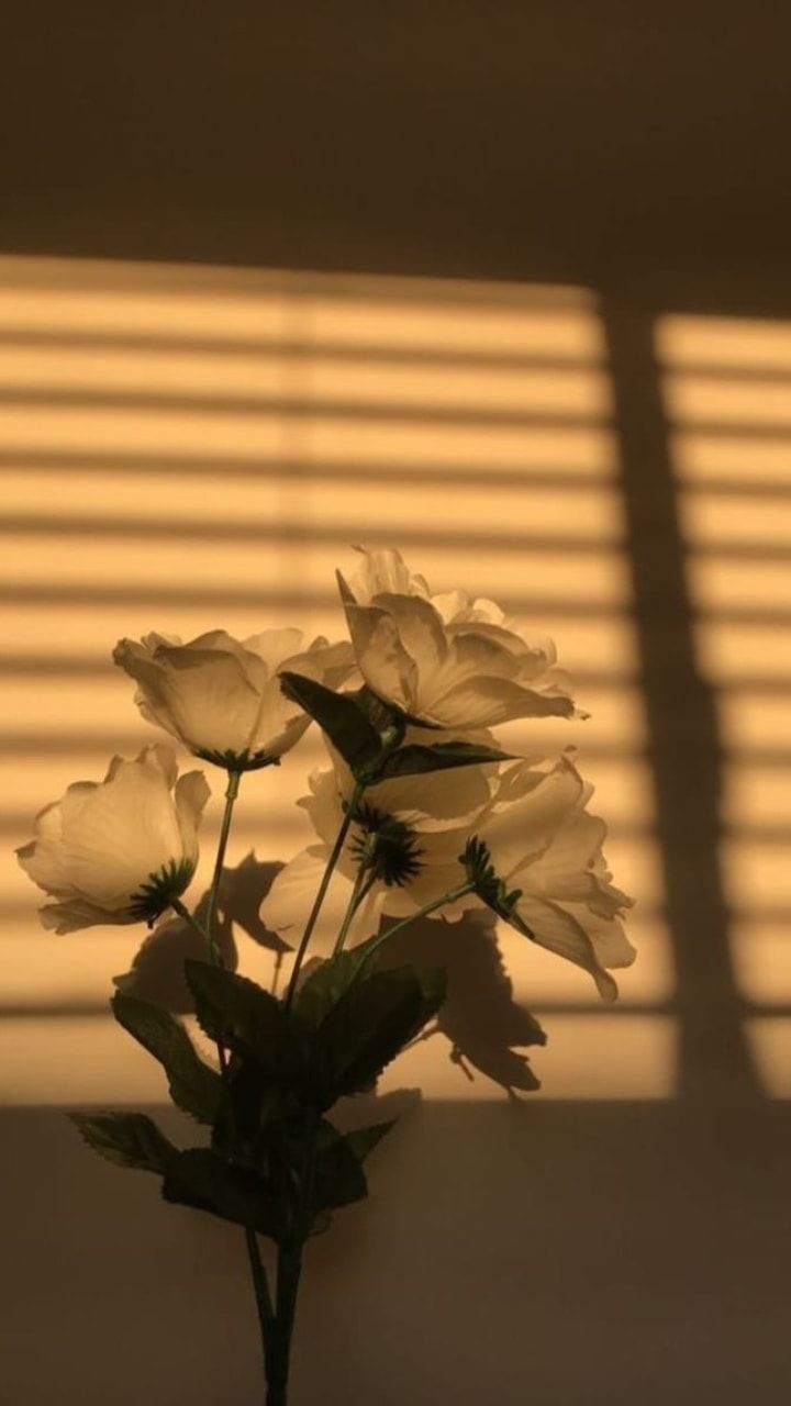 Lowkey Wallpapers - Top Free Lowkey Backgrounds - WallpaperAccess