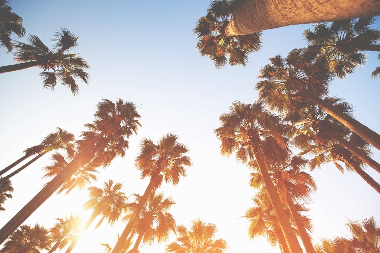 Spring Break Wallpapers - Top Free Spring Break Backgrounds ...