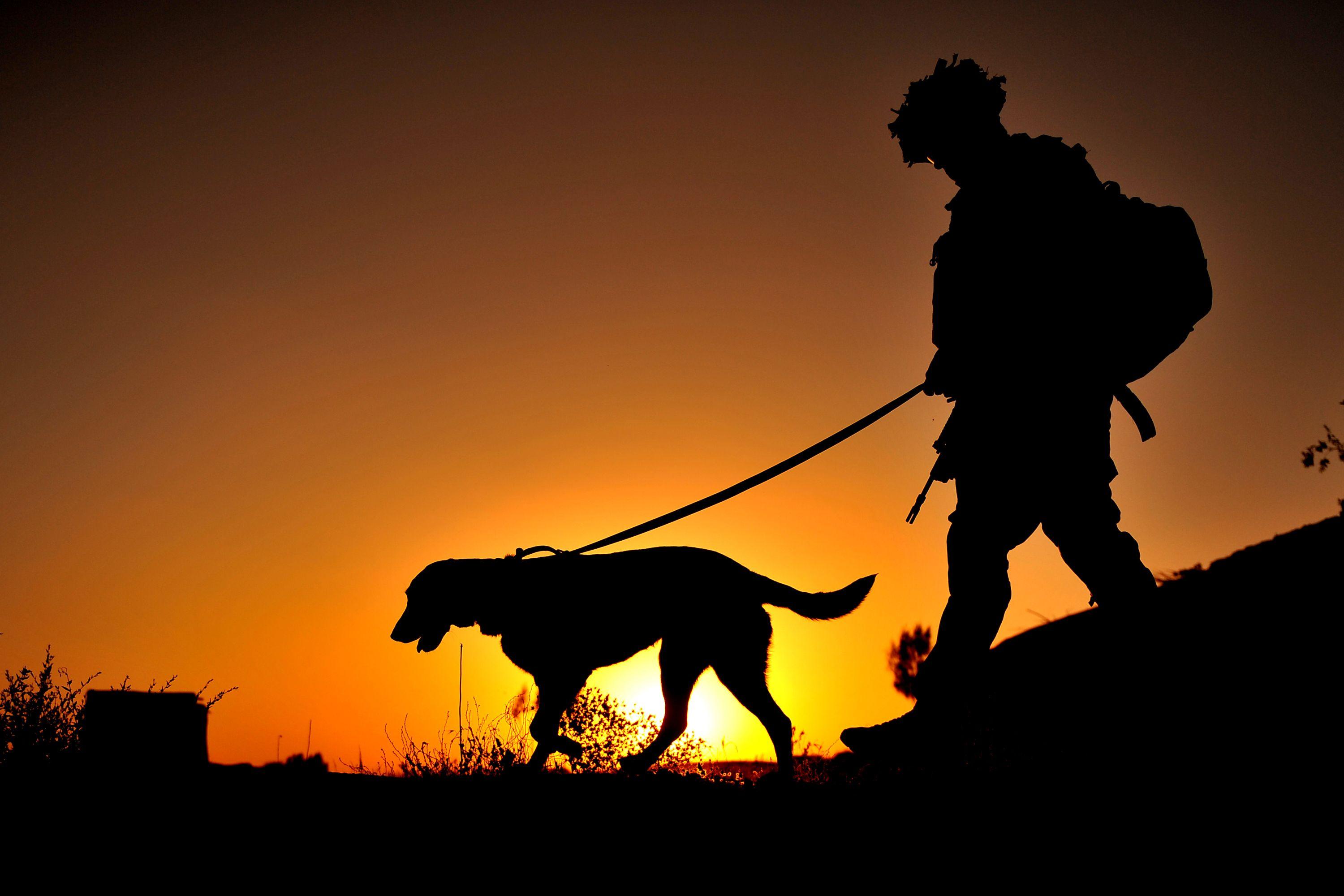 Soldiers Sunset Wallpapers - Top Free Soldiers Sunset Backgrounds ...