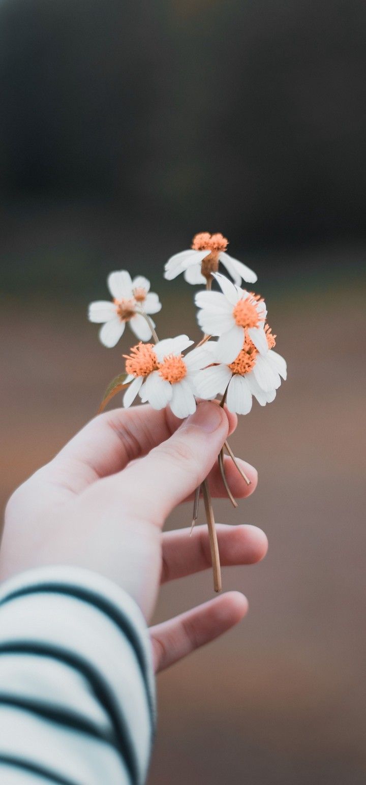 Hand In Hand Wallpapers - Top Free Hand In Hand Backgrounds ...