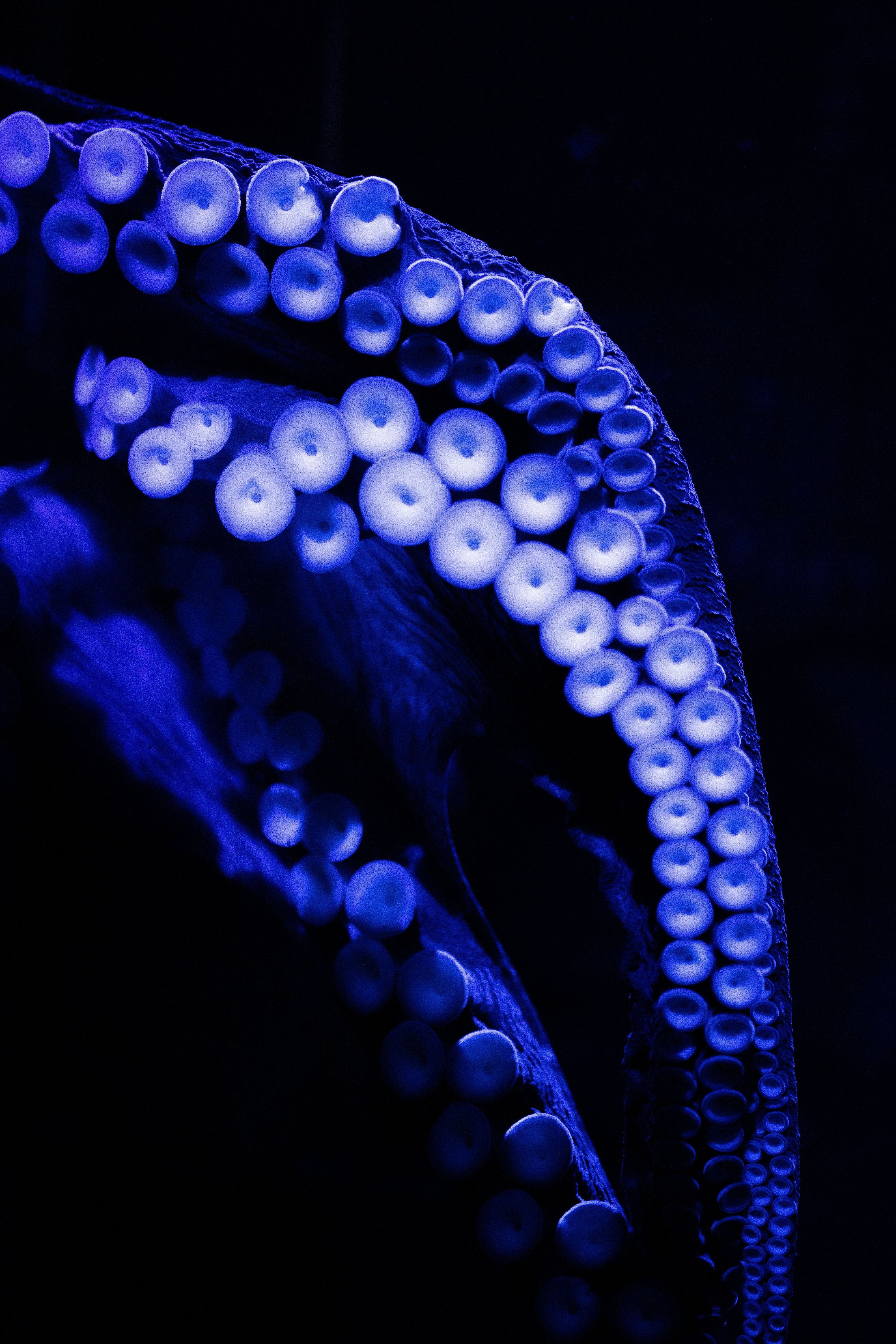 4000x6000 Wallpapers - Top Free 4000x6000 Backgrounds - WallpaperAccess