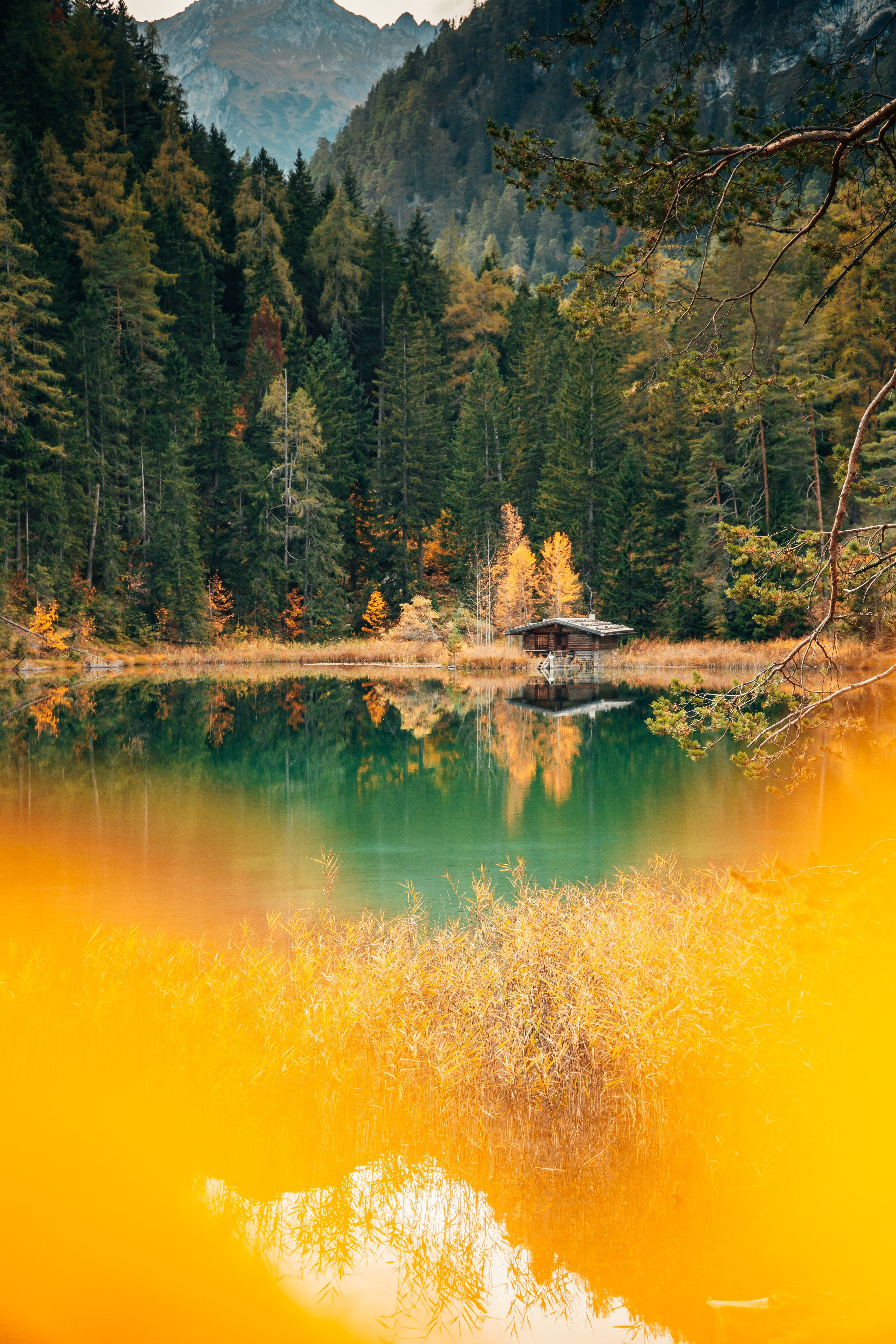 4000x6000 Wallpapers - Top Free 4000x6000 Backgrounds - WallpaperAccess