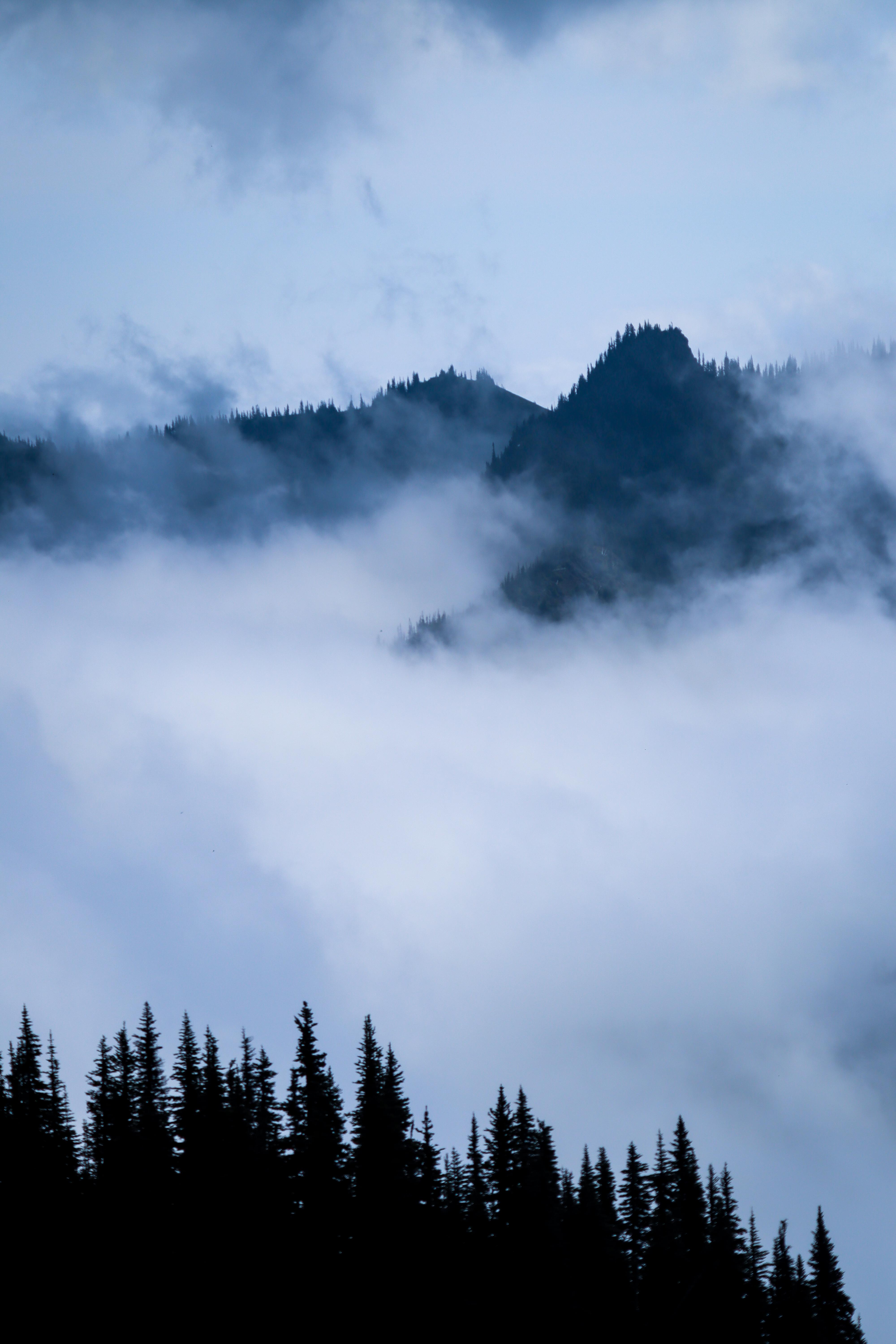 4000x6000 Wallpapers - Top Free 4000x6000 Backgrounds - WallpaperAccess