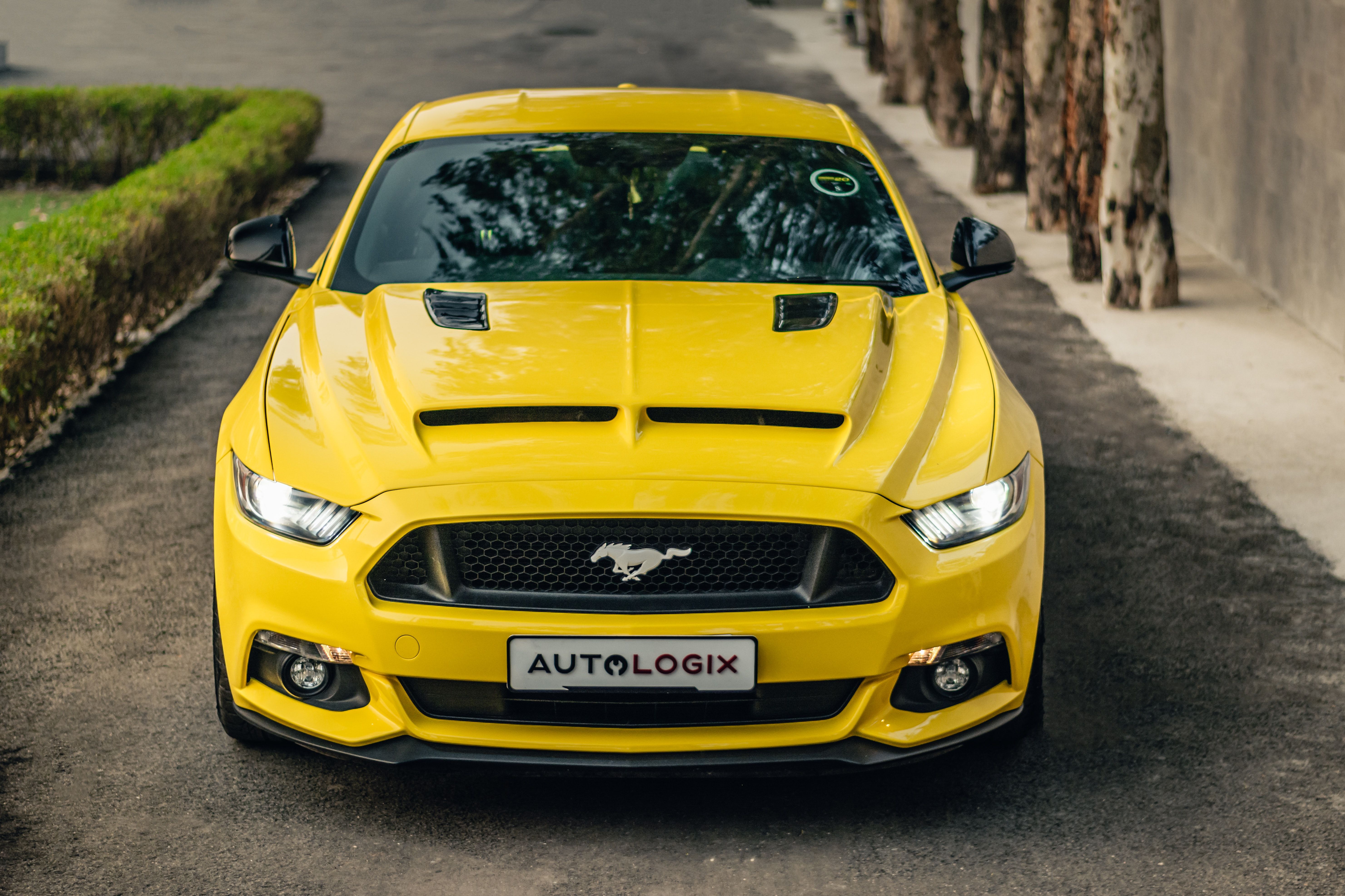 Yellow Mustang Wallpapers - Top Free Yellow Mustang Backgrounds ...