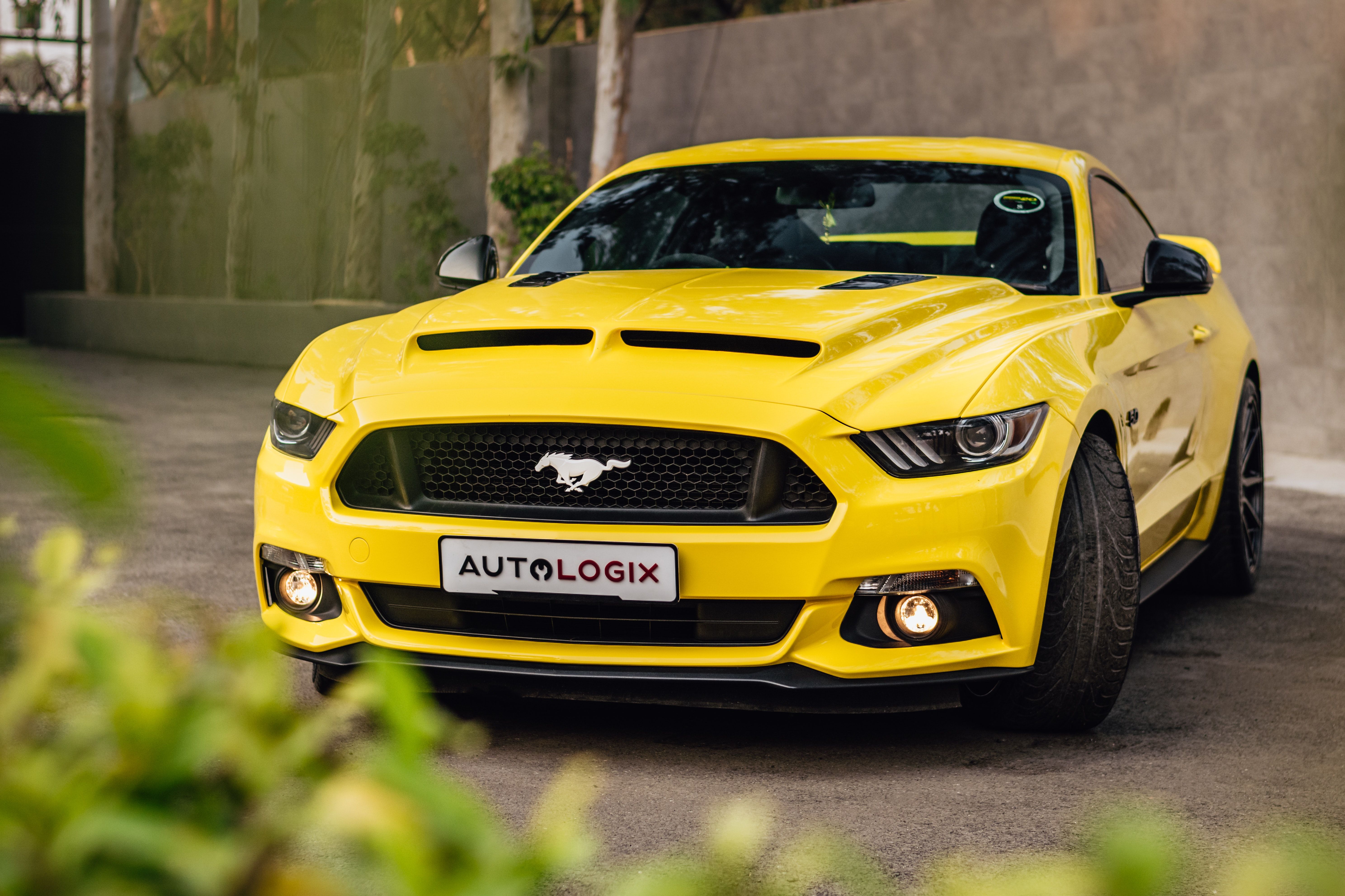 Yellow Mustang Wallpapers - Top Free Yellow Mustang Backgrounds ...