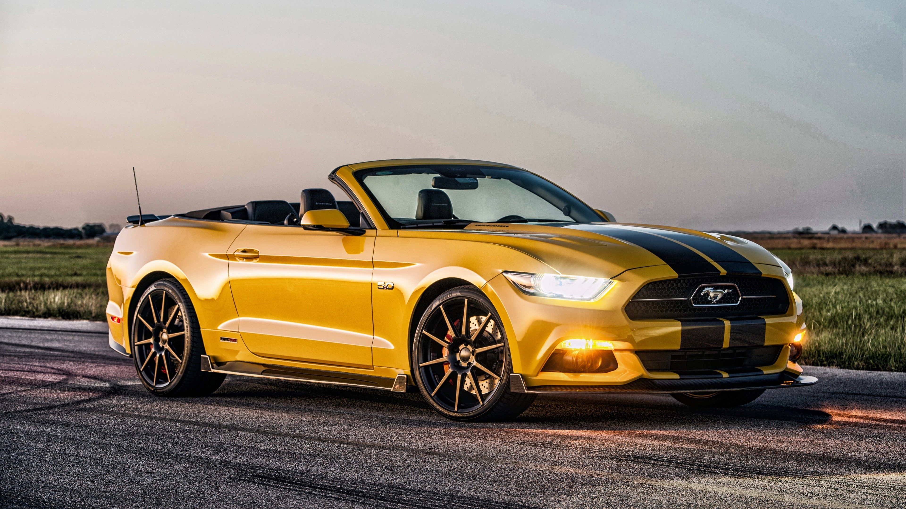 Yellow Mustang Wallpapers - Top Free Yellow Mustang Backgrounds ...