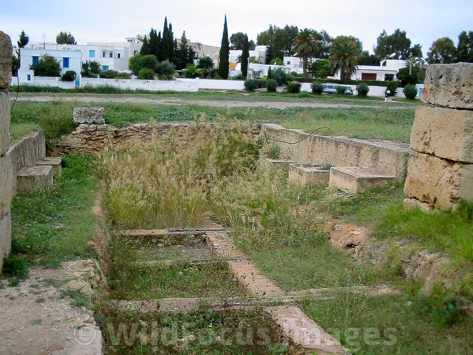 Carthage Wallpapers - Top Free Carthage Backgrounds - WallpaperAccess