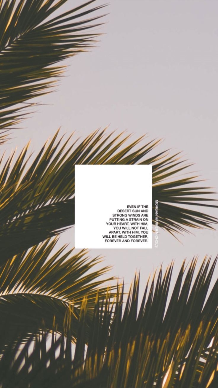 Well Being Wallpapers - Top Free Well Being Backgrounds - WallpaperAccess