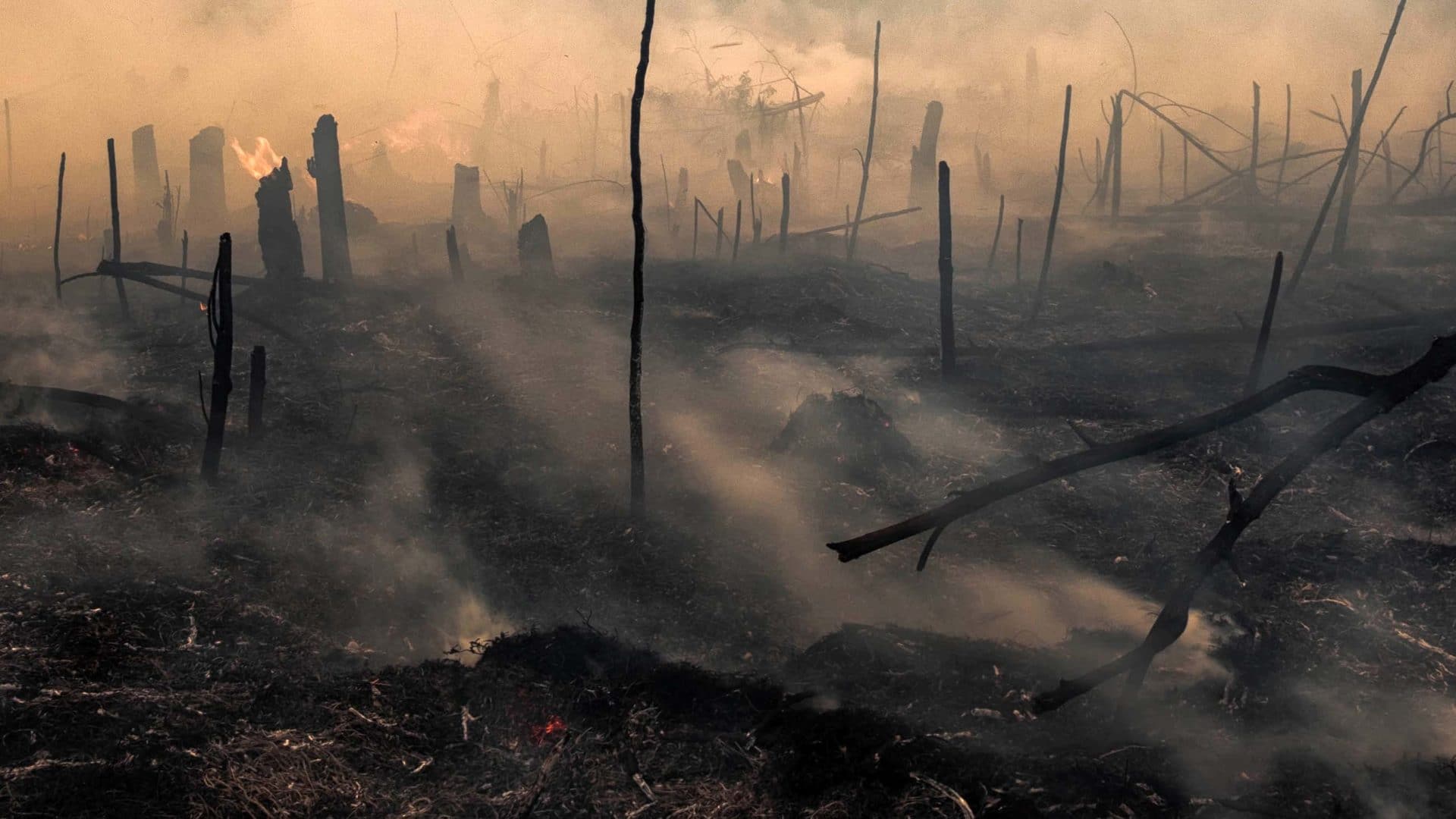 Famine Wallpapers - Top Free Famine Backgrounds - WallpaperAccess