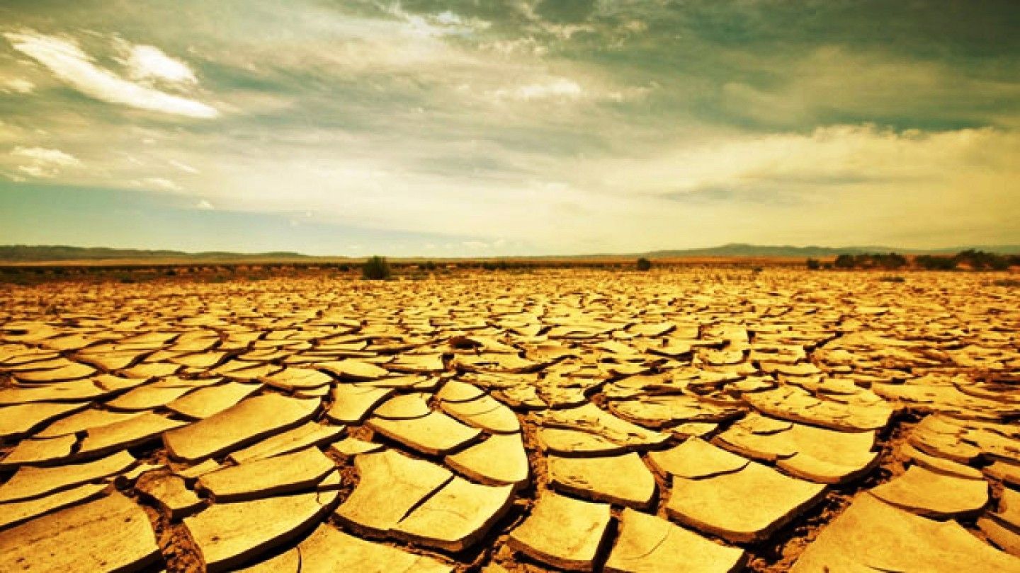 Famine Wallpapers - Top Free Famine Backgrounds - WallpaperAccess