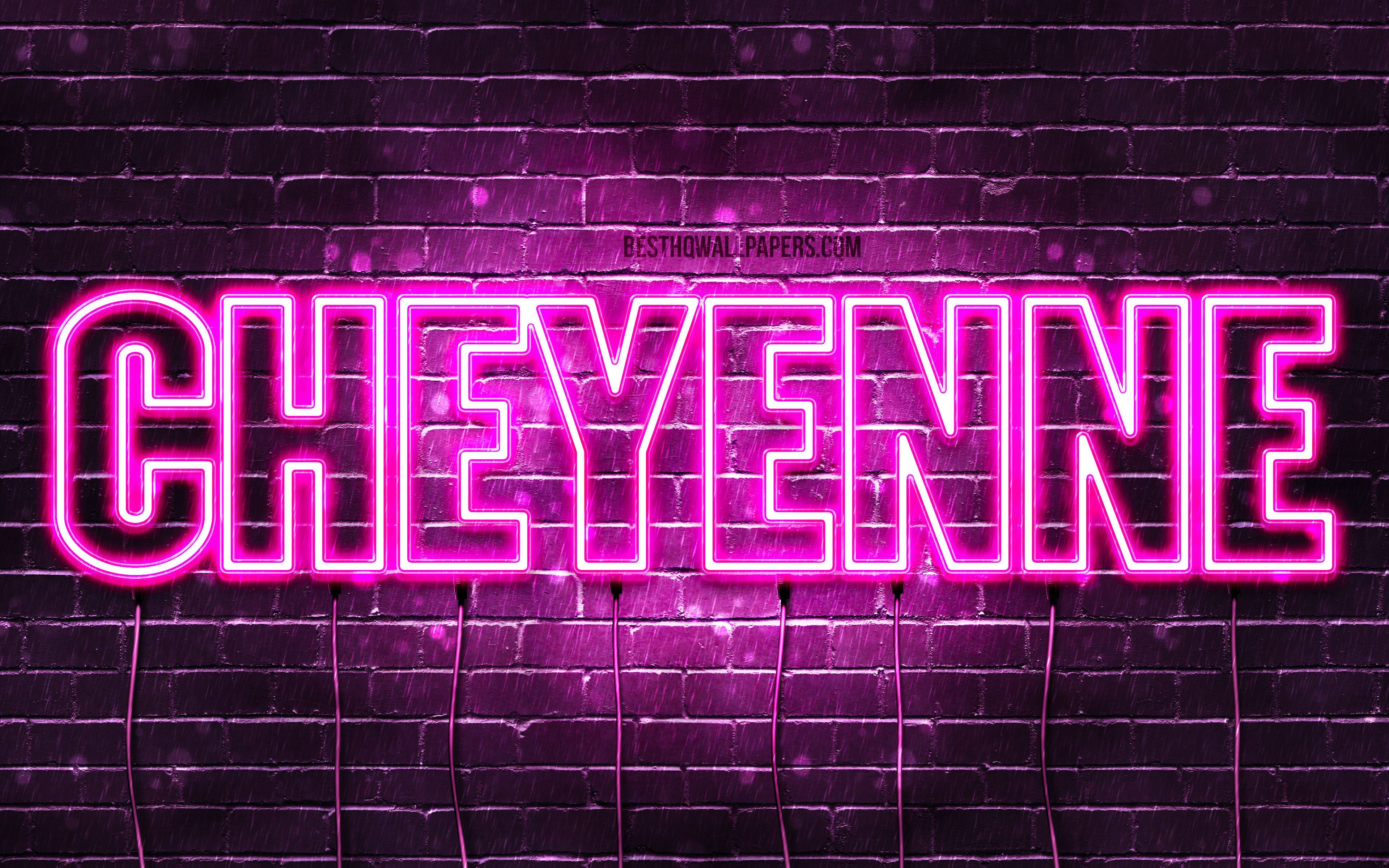 Cheyenne Wallpapers - Top Free Cheyenne Backgrounds - WallpaperAccess