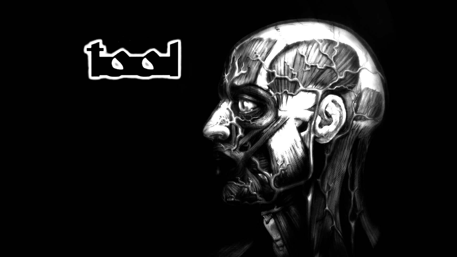 Tool Band Wallpapers - Top Free Tool Band Backgrounds - WallpaperAccess