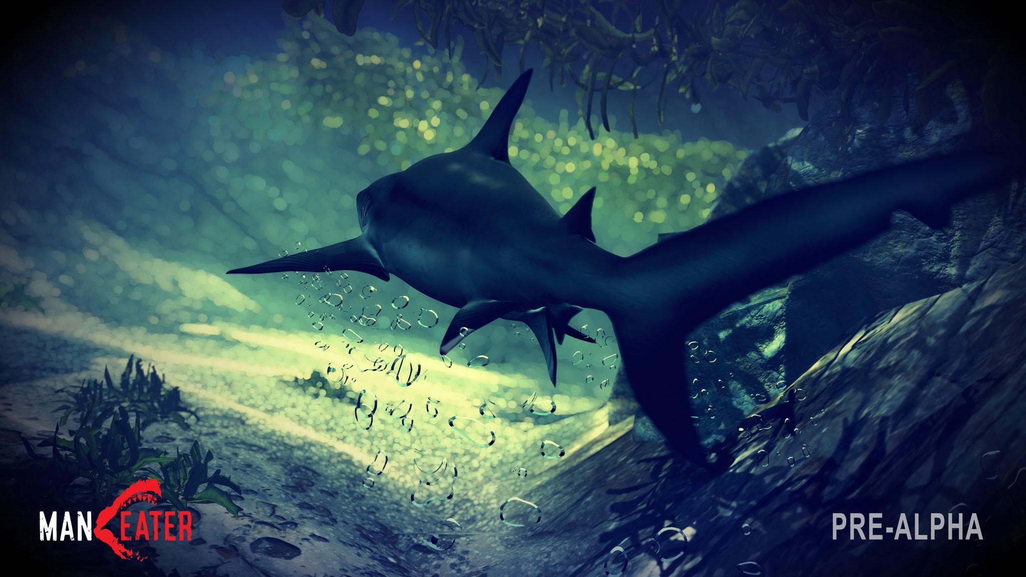 Maneater Wallpapers - Top Free Maneater Backgrounds - WallpaperAccess