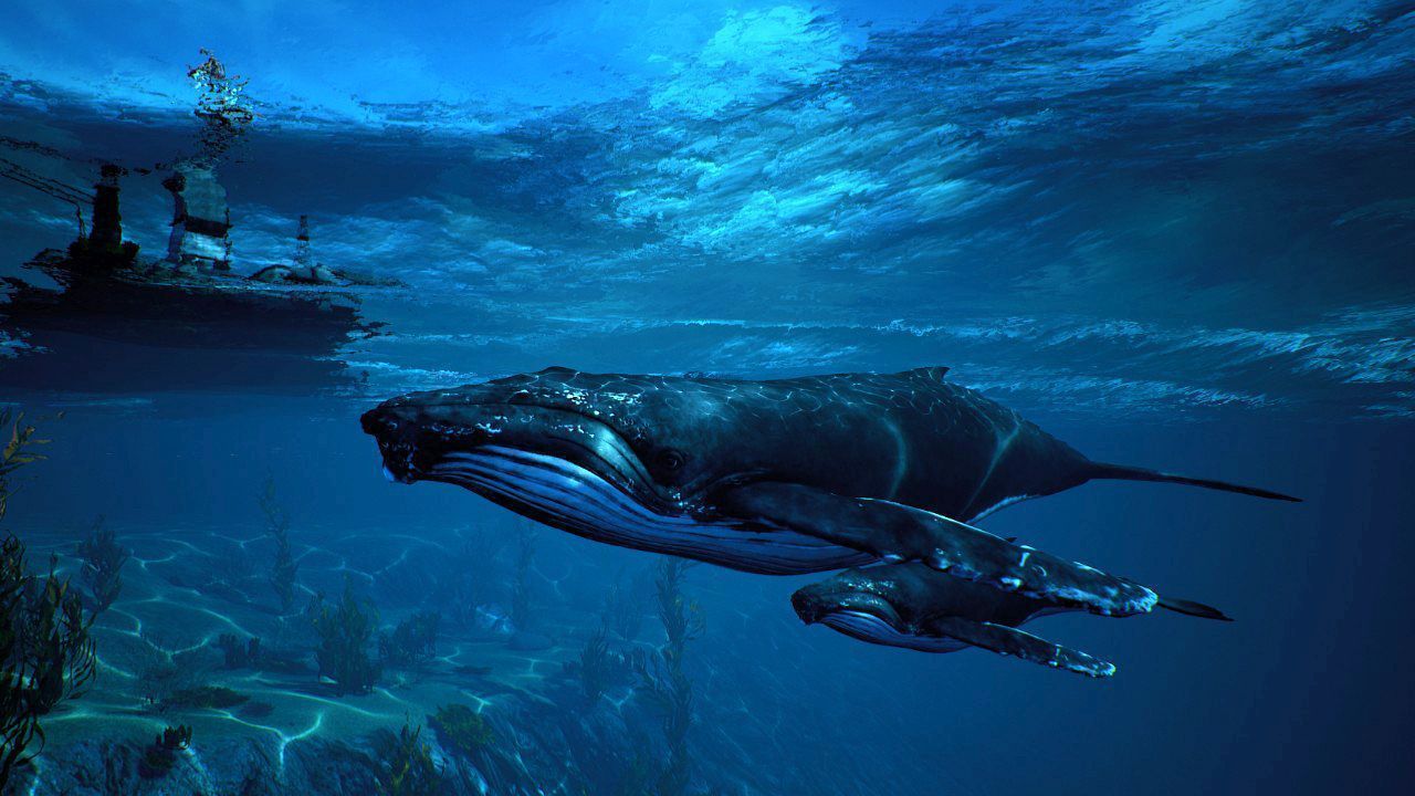 Maneater Wallpapers - Top Free Maneater Backgrounds - WallpaperAccess