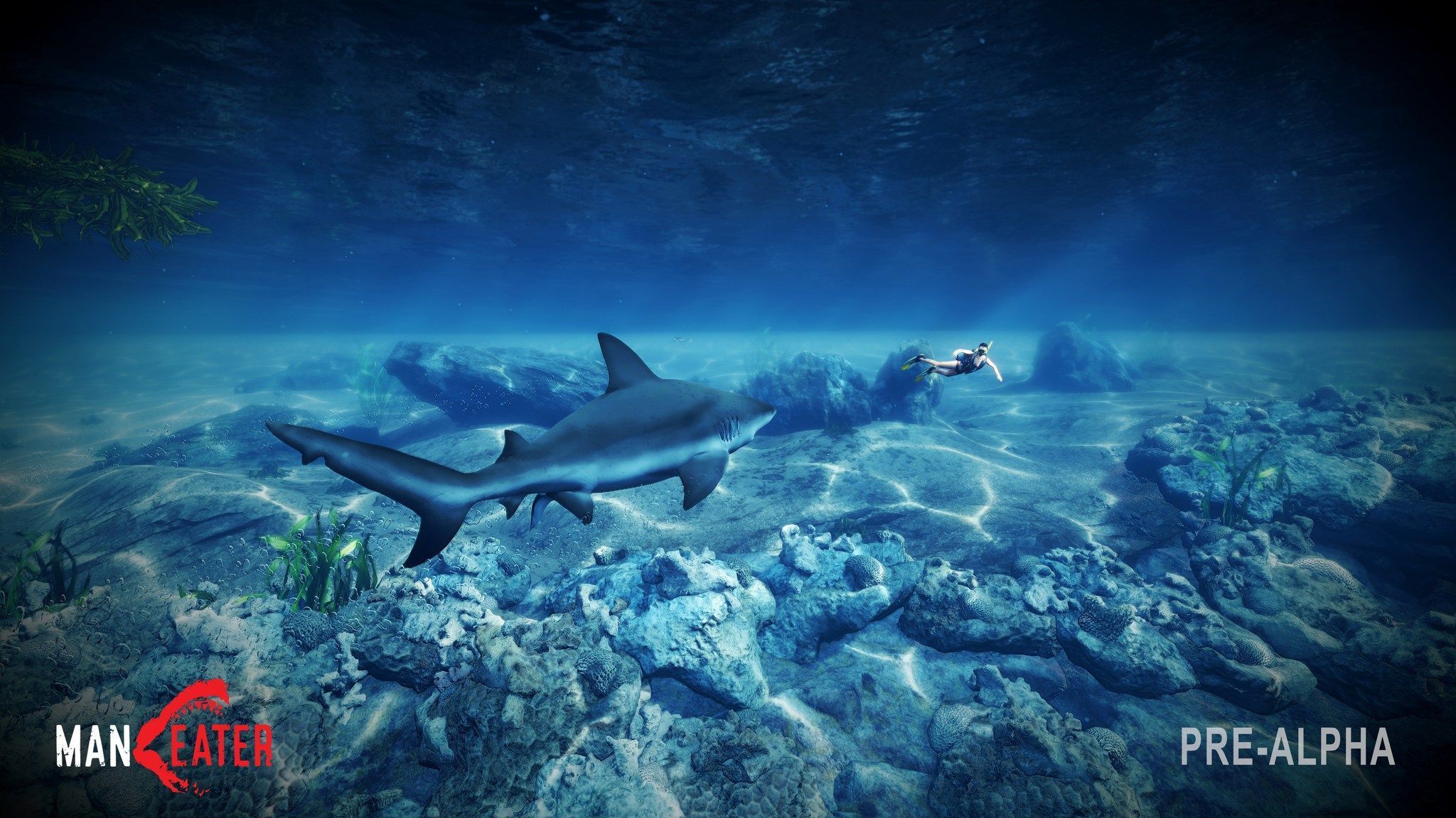 Maneater Wallpapers - Top Free Maneater Backgrounds - WallpaperAccess
