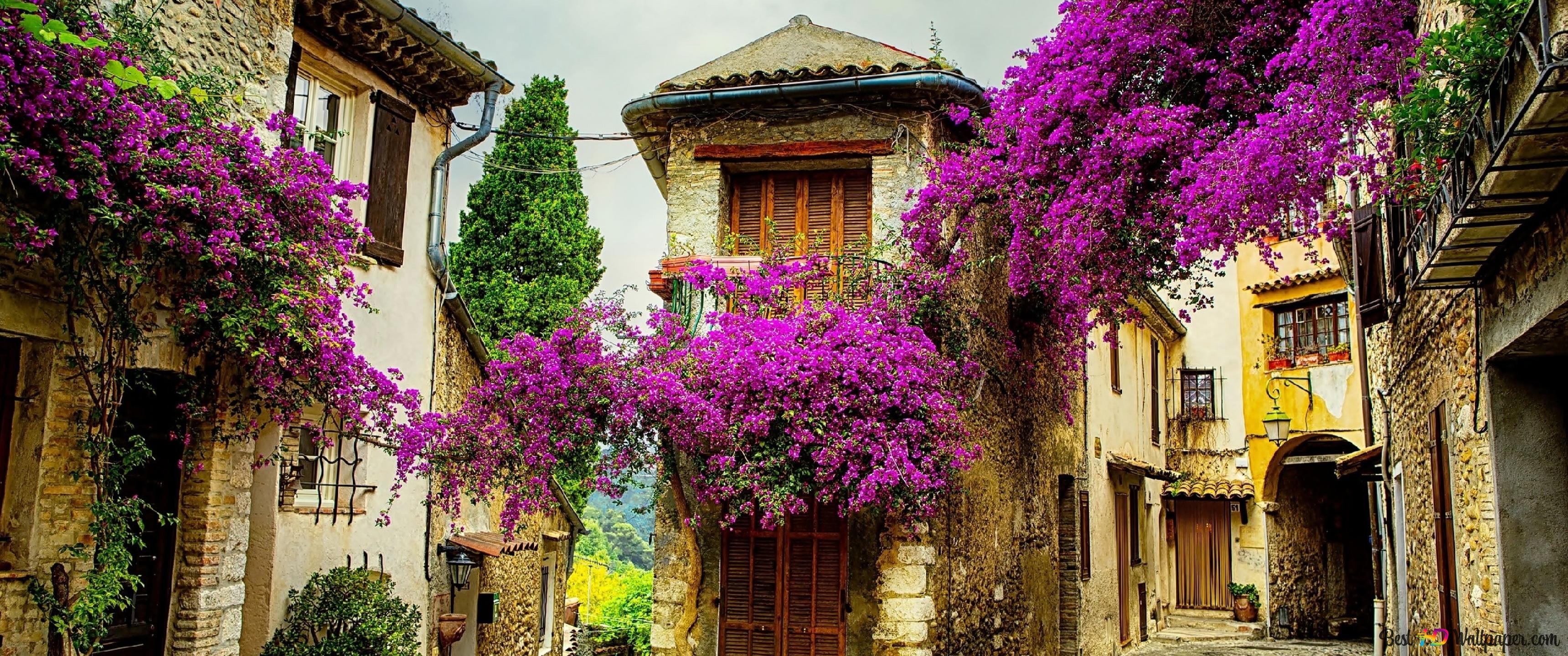 Aix En Provence Wallpapers - Top Free Aix En Provence Backgrounds ...