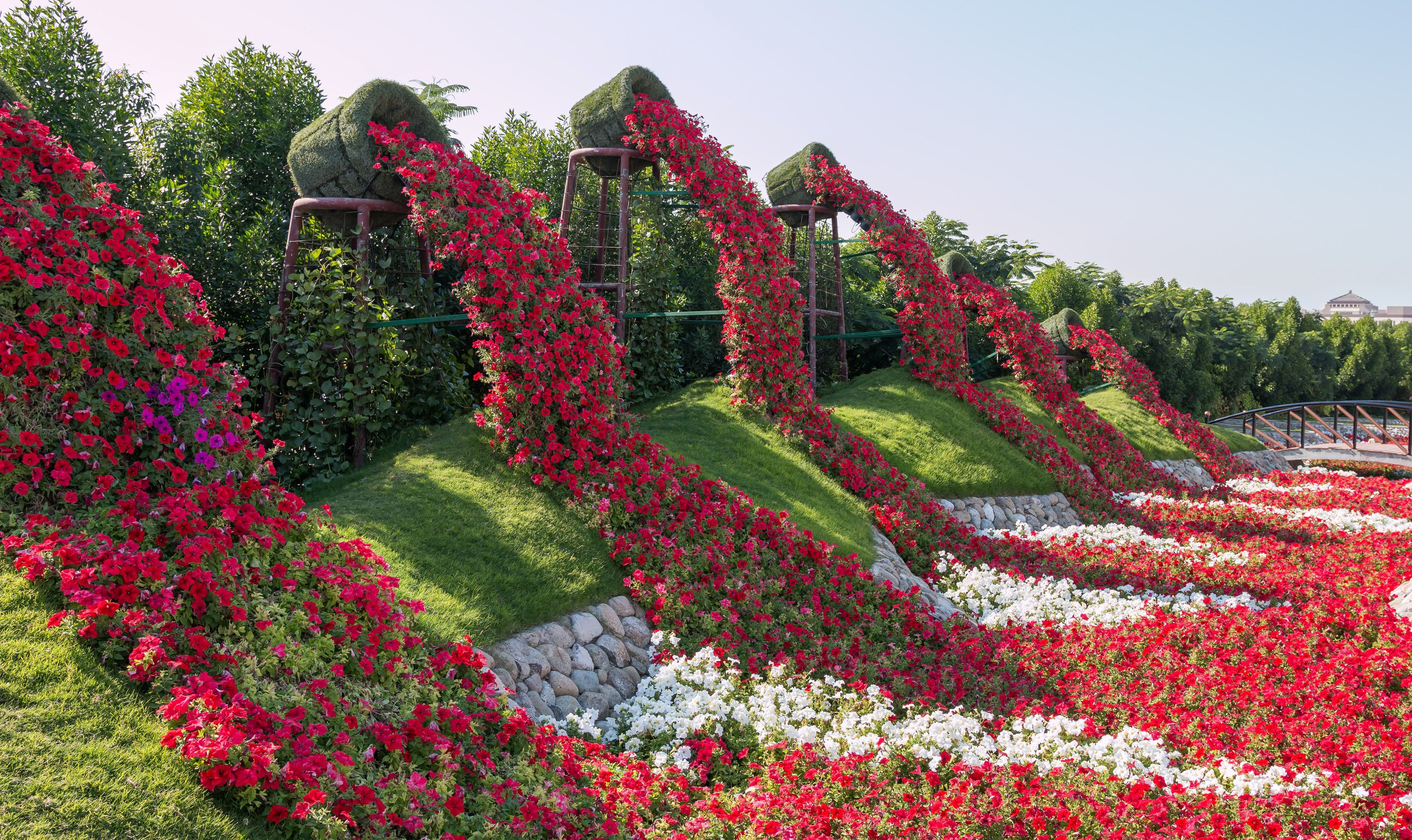 Miracle Garden Wallpapers - Top Free Miracle Garden Backgrounds ...