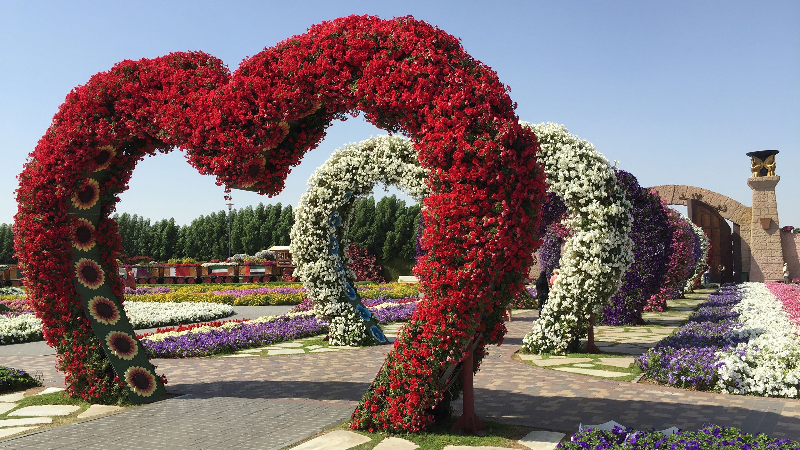 Miracle Garden Wallpapers - Top Free Miracle Garden Backgrounds ...