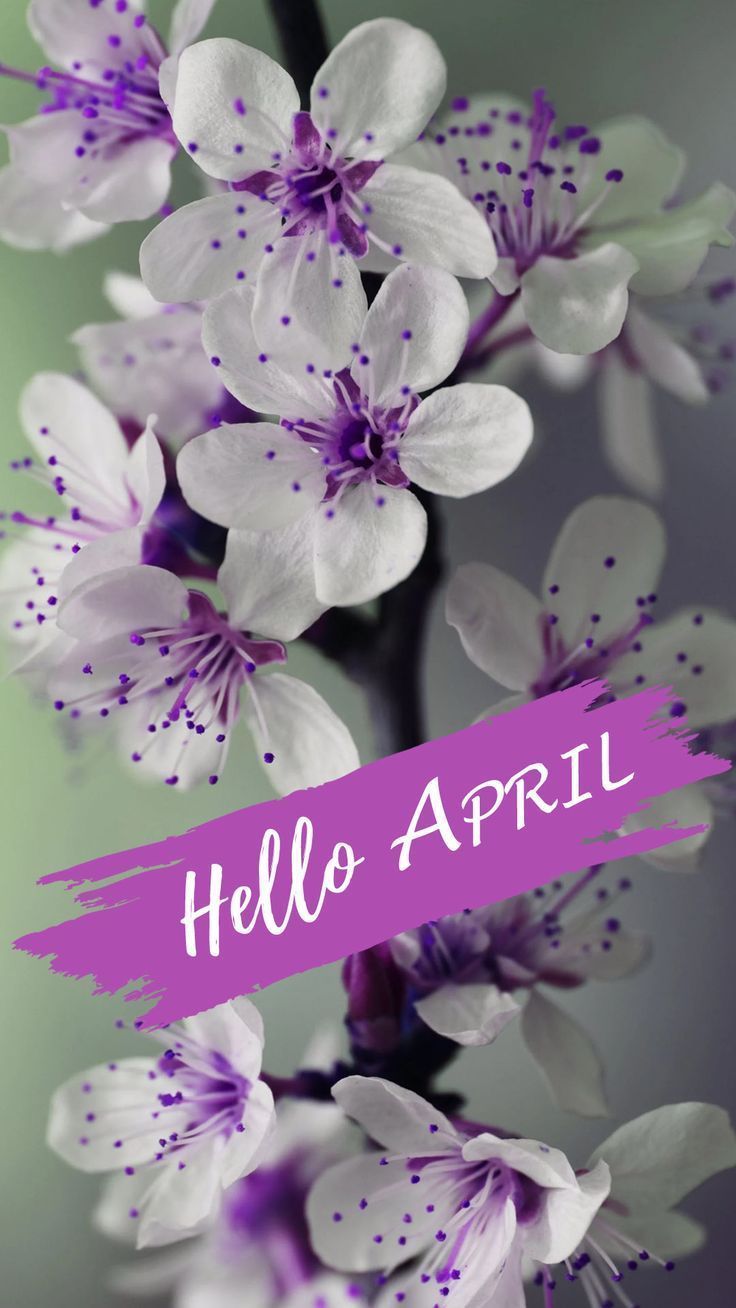 New Month Wallpapers - Top Free New Month Backgrounds - WallpaperAccess