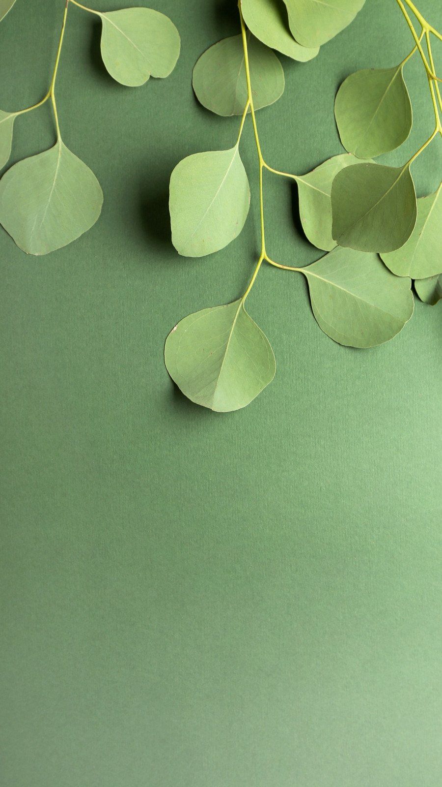 Green Paper Wallpapers - Top Free Green Paper Backgrounds - WallpaperAccess