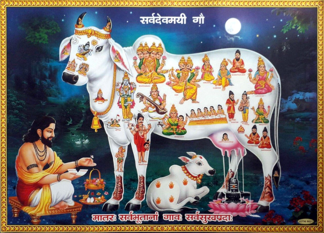 Kamadhenu Wallpapers - Top Free Kamadhenu Backgrounds - WallpaperAccess