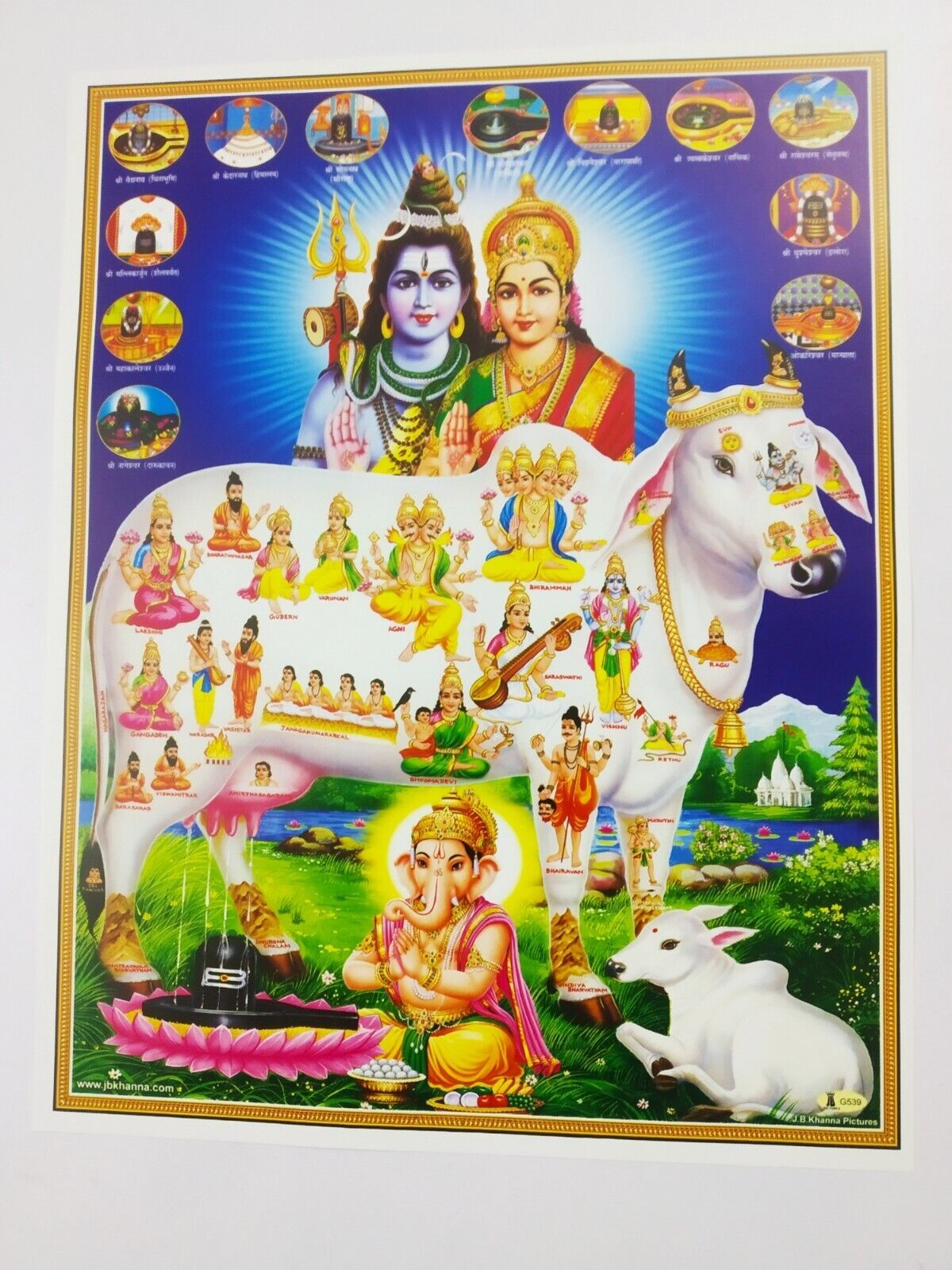 Kamadhenu Wallpapers - Top Free Kamadhenu Backgrounds - WallpaperAccess