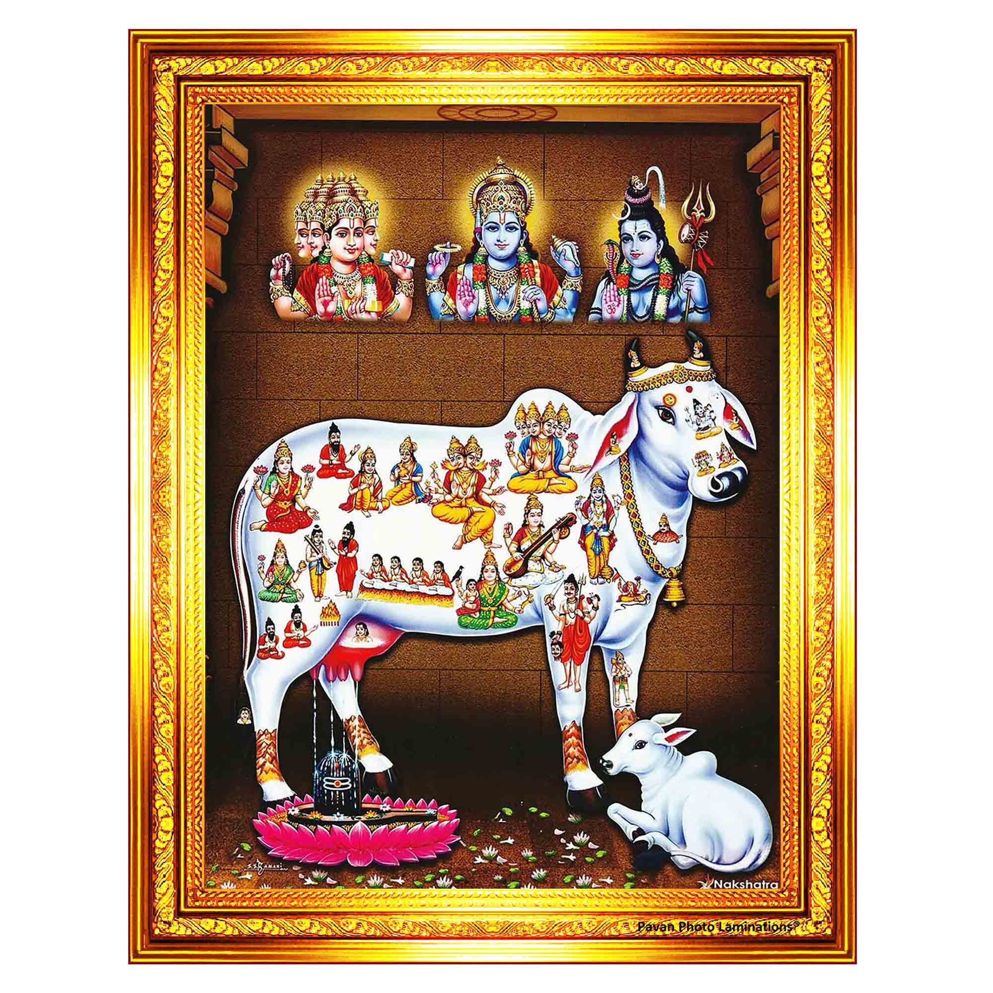 Kamadhenu Wallpapers - Top Free Kamadhenu Backgrounds - WallpaperAccess