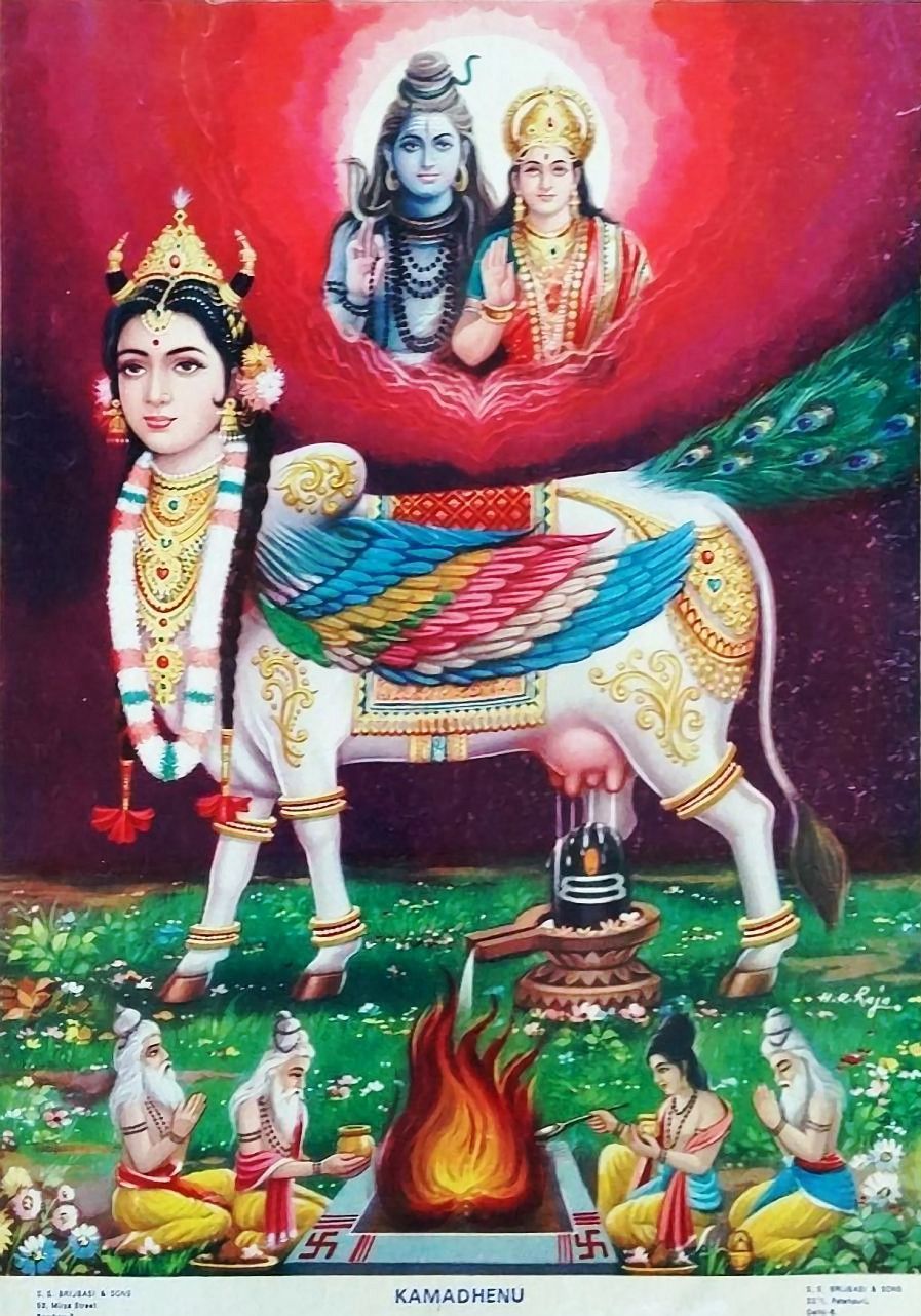 Kamadhenu Wallpapers - Top Free Kamadhenu Backgrounds - WallpaperAccess