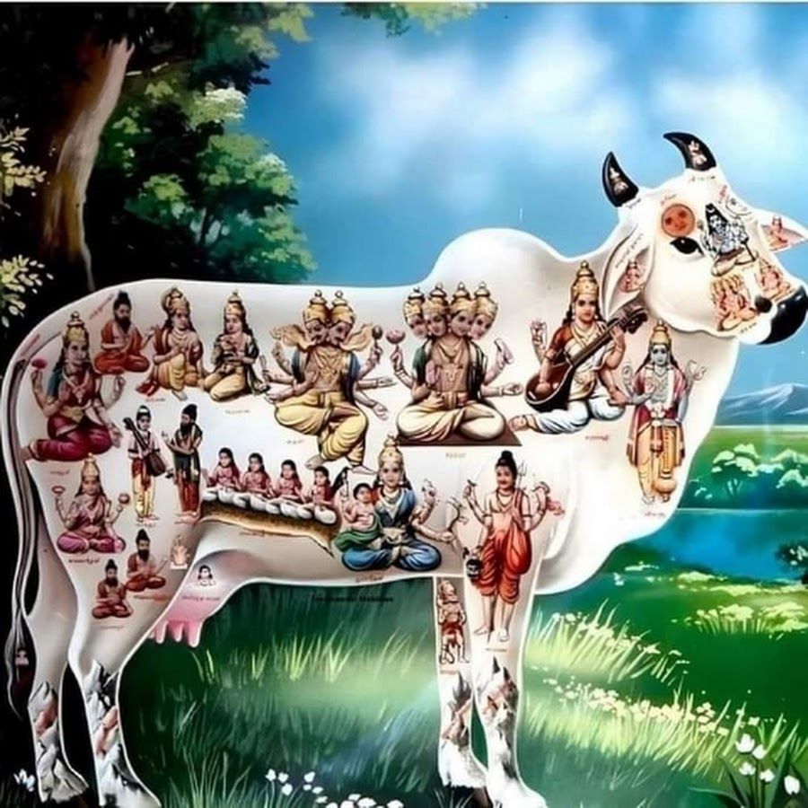 Kamadhenu Wallpapers - Top Free Kamadhenu Backgrounds - WallpaperAccess