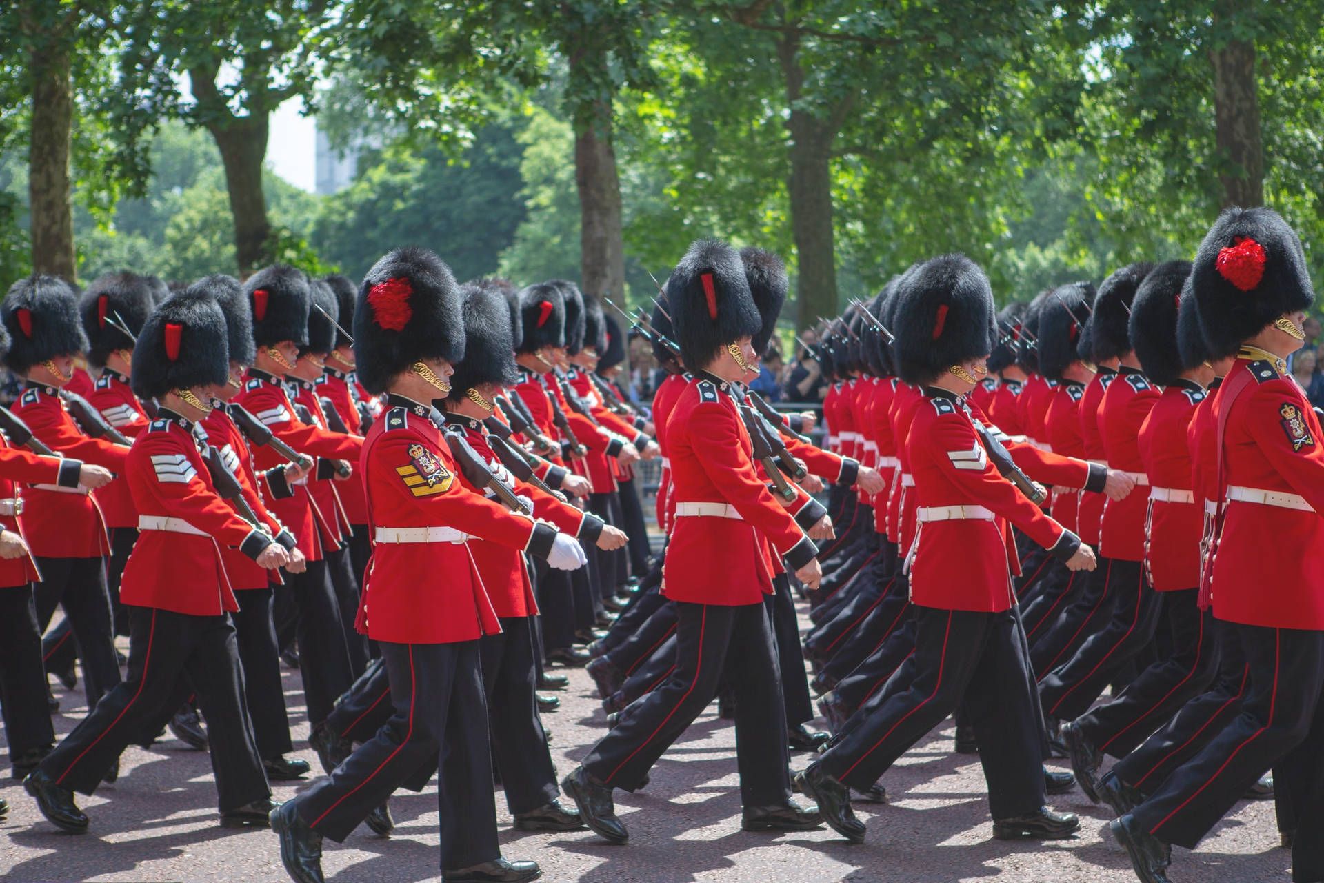 Royal Guard Wallpapers - Top Free Royal Guard Backgrounds - WallpaperAccess