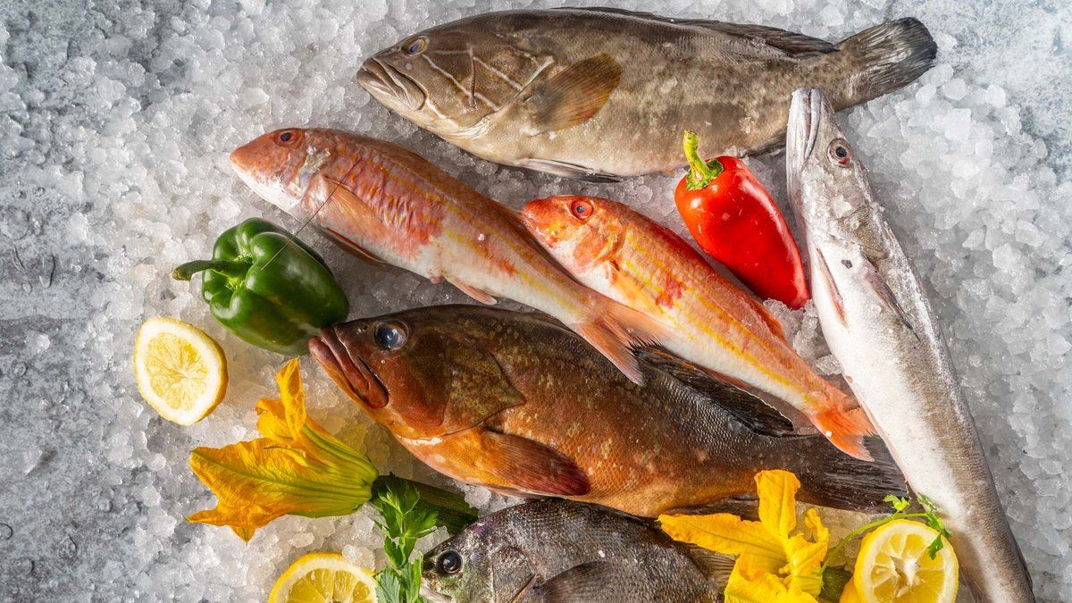 Fish Meat Wallpapers - Top Free Fish Meat Backgrounds - WallpaperAccess