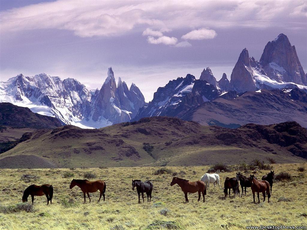 Patagonia Argentina Wallpapers - Top Free Patagonia Argentina ...