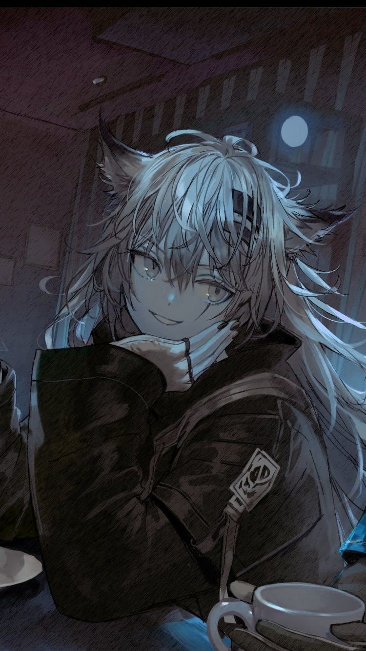 Lappland Wallpapers - Top Free Lappland Backgrounds - WallpaperAccess