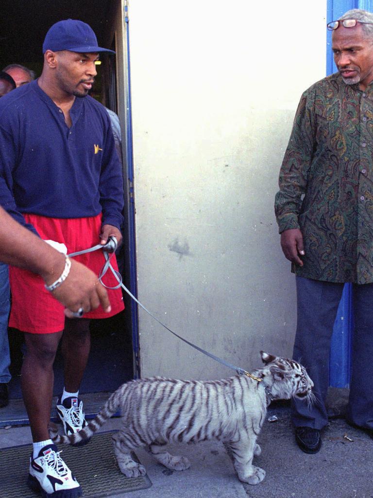 Mike Tyson Tiger Wallpapers - Top Free Mike Tyson Tiger Backgrounds ...