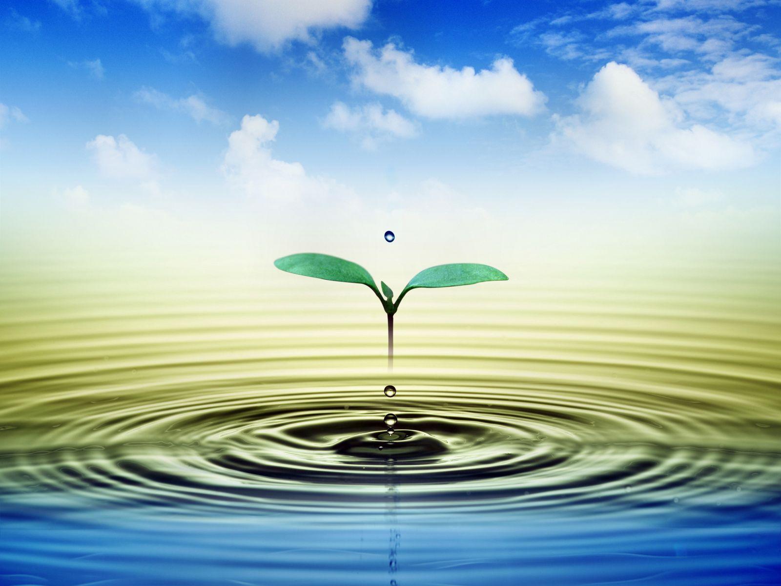 New Beginning Wallpapers - Top Free New Beginning Backgrounds ...